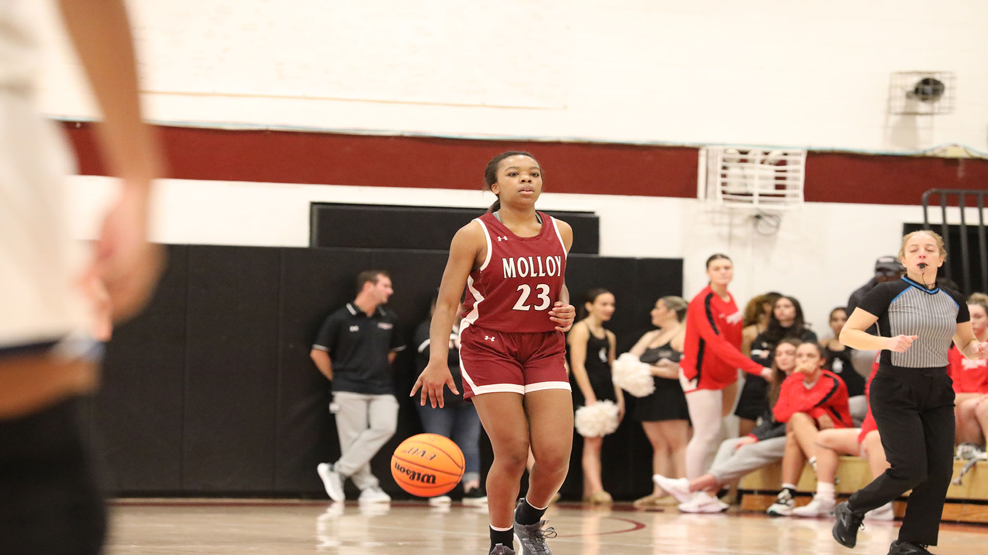 Brianna James - Women's Basketball - Molloy University Athletics