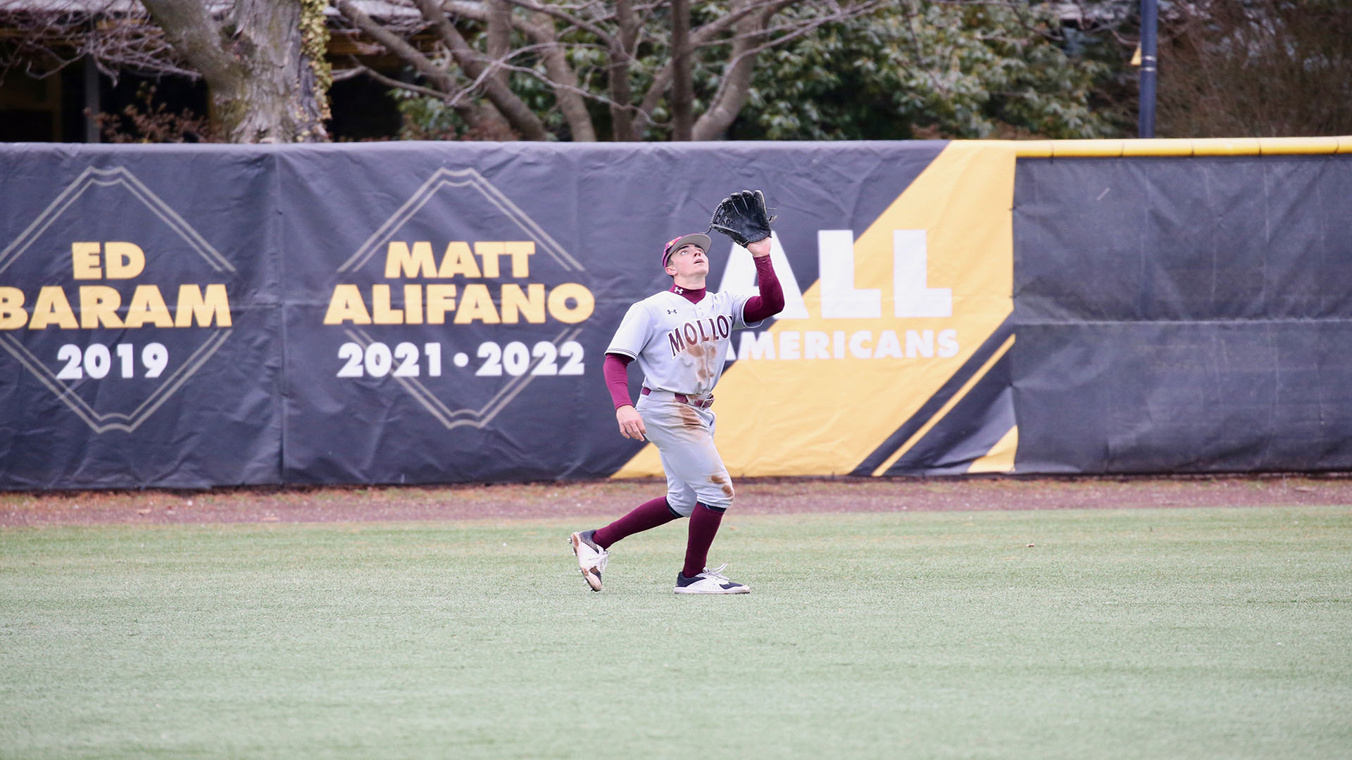 JJ DeVito - Baseball - Molloy University Athletics