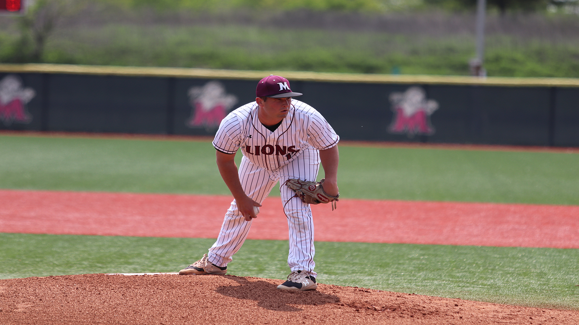 Charlie Cucchiara - Baseball - Molloy University Athletics