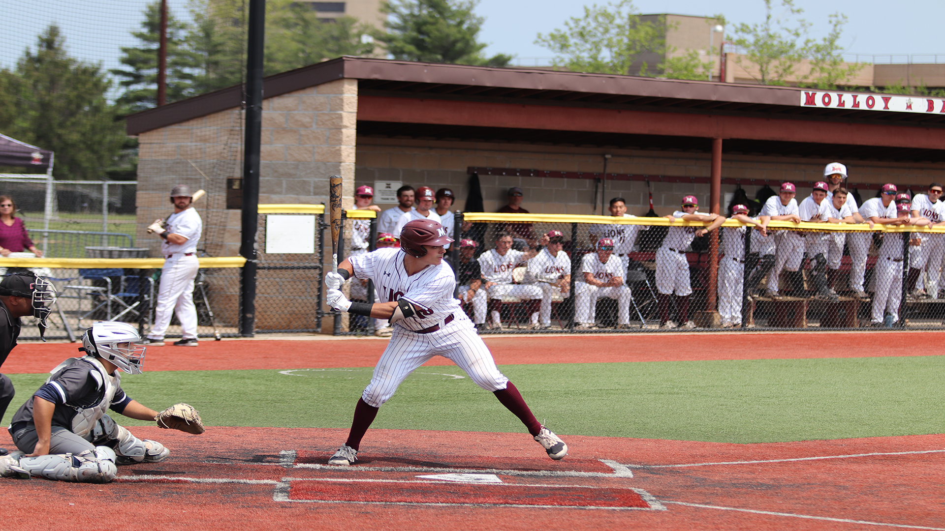 JJ DeVito - Baseball - Molloy University Athletics