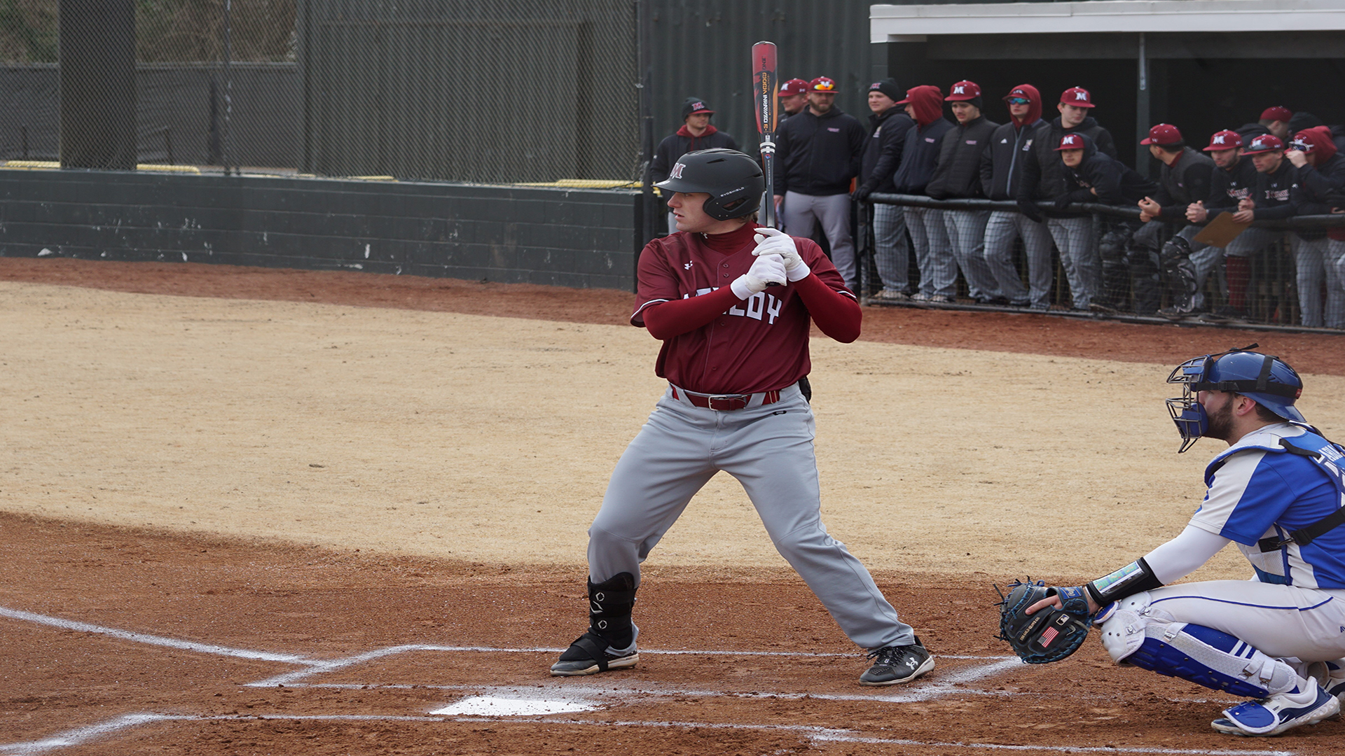 No. 13 Baseball Tops Bentley, 8-6 - Molloy University Athletics