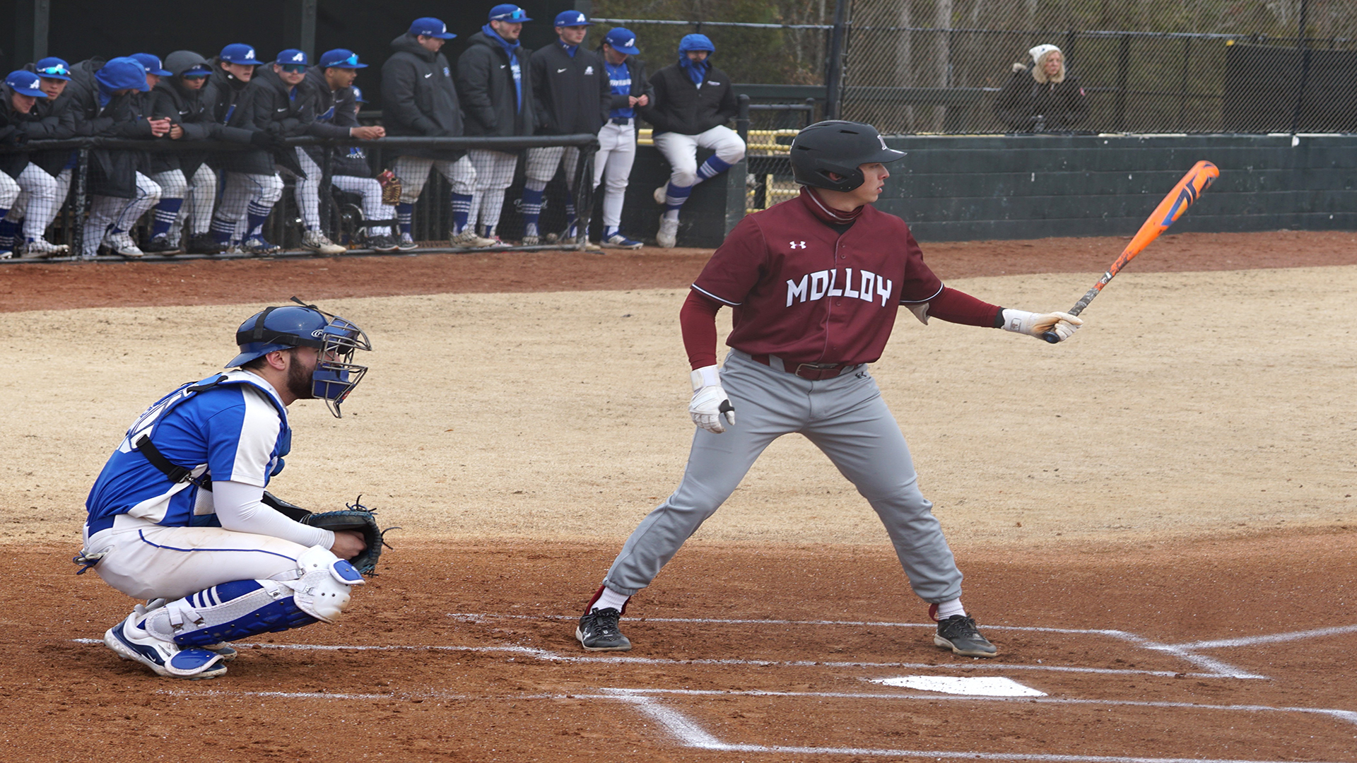 Gavin McAlonie - Baseball - Molloy University Athletics