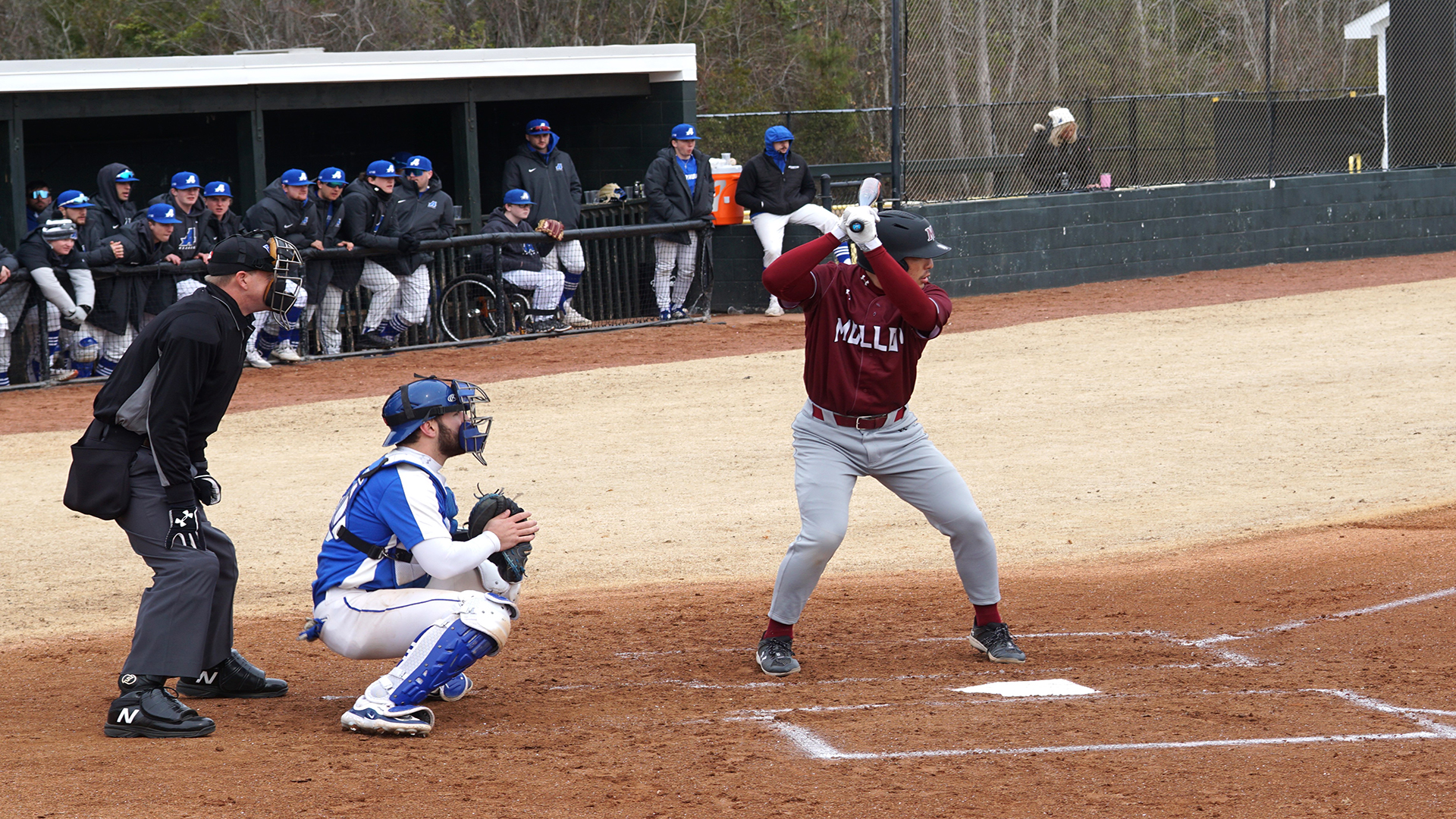 Matt Yip - Baseball - Molloy University Athletics