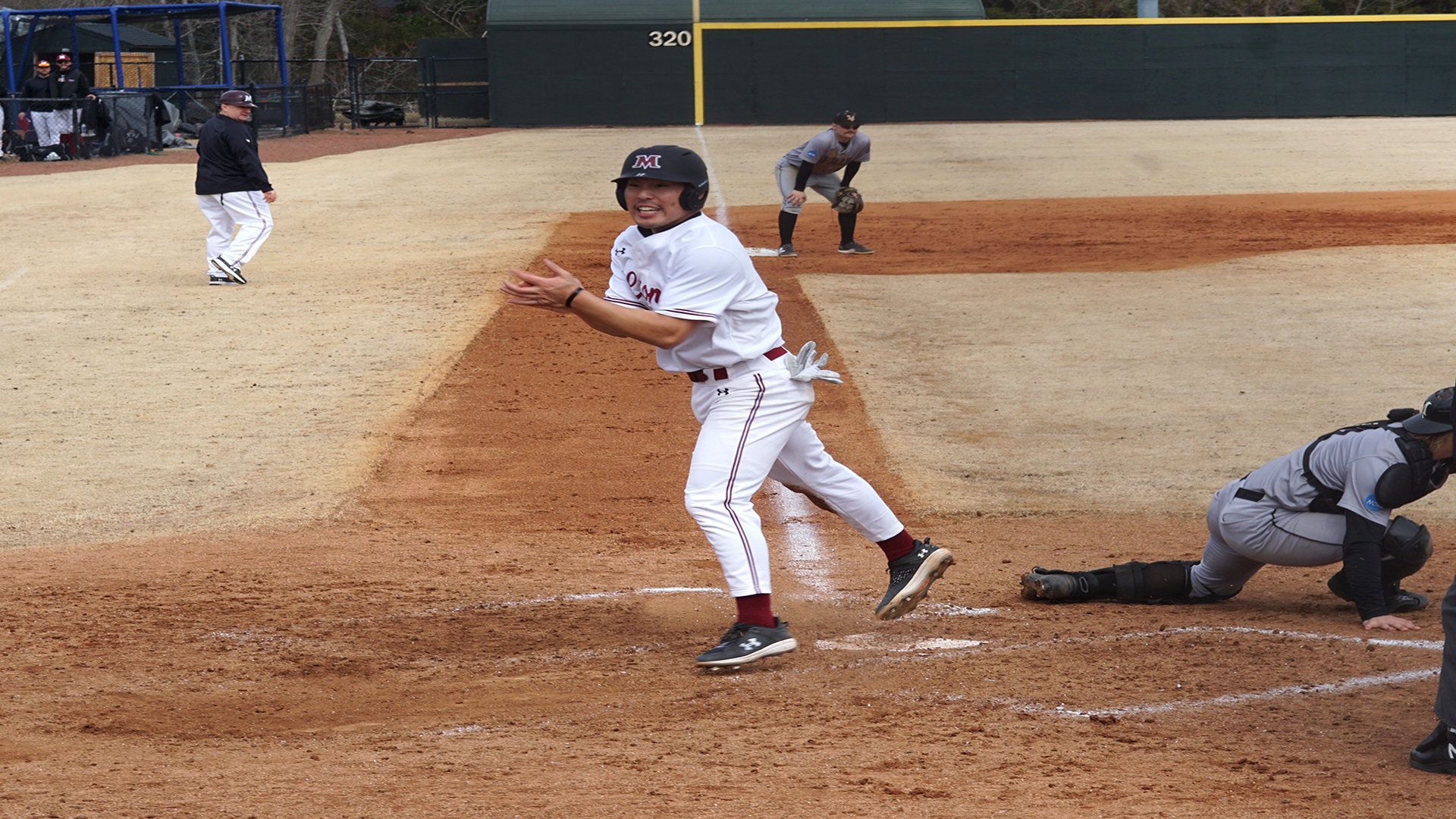 Matt Yip - Baseball - Molloy University Athletics