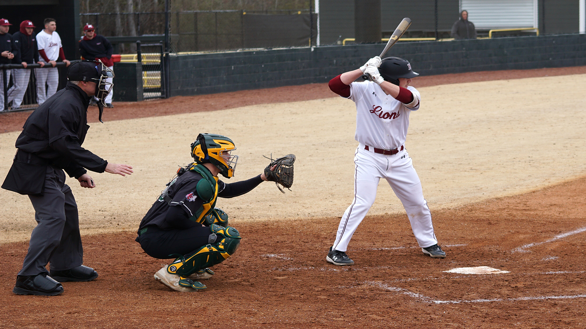 Chris Giardino - Baseball - Molloy University Athletics