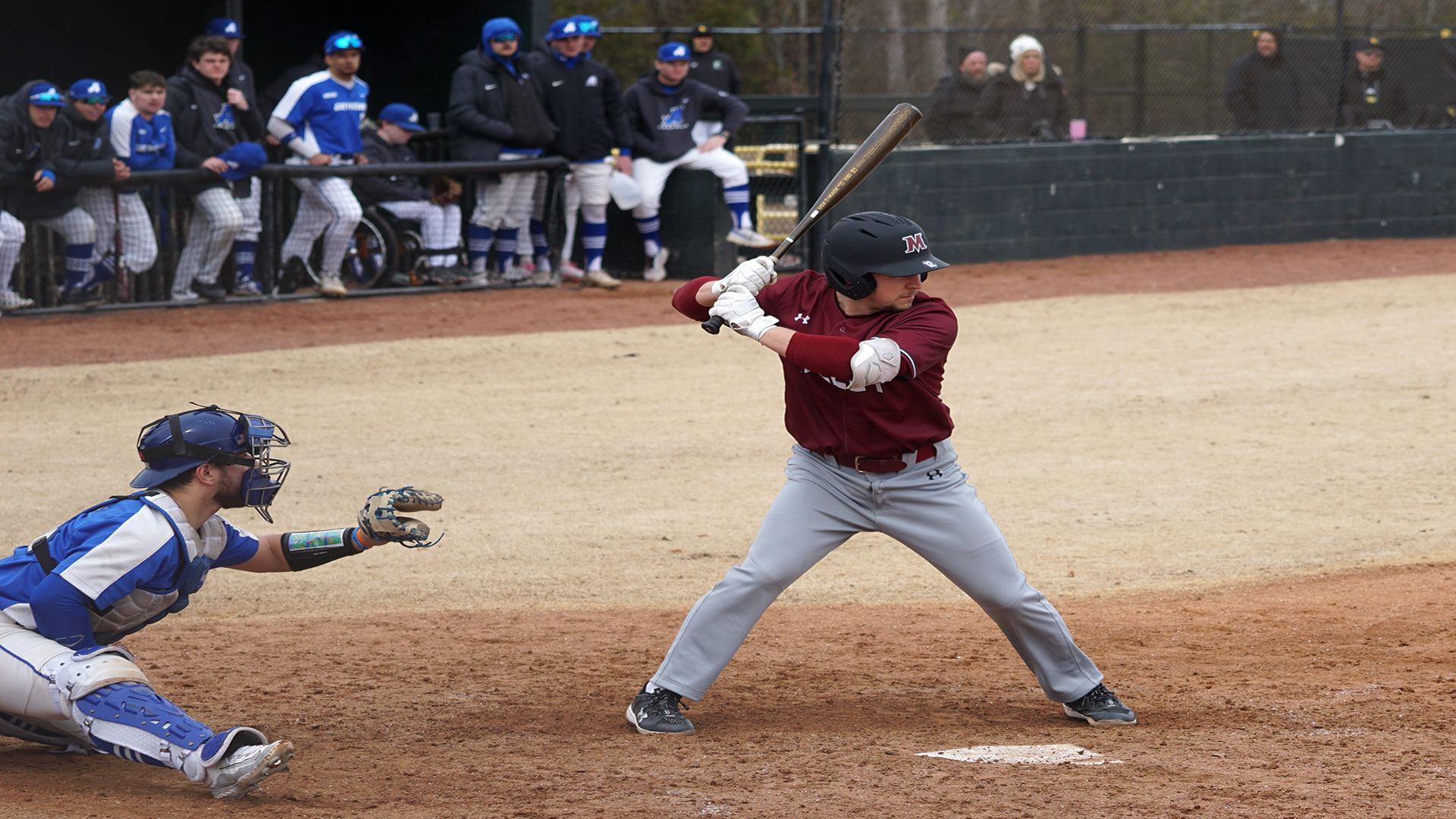 Chris Giardino - Baseball - Molloy University Athletics