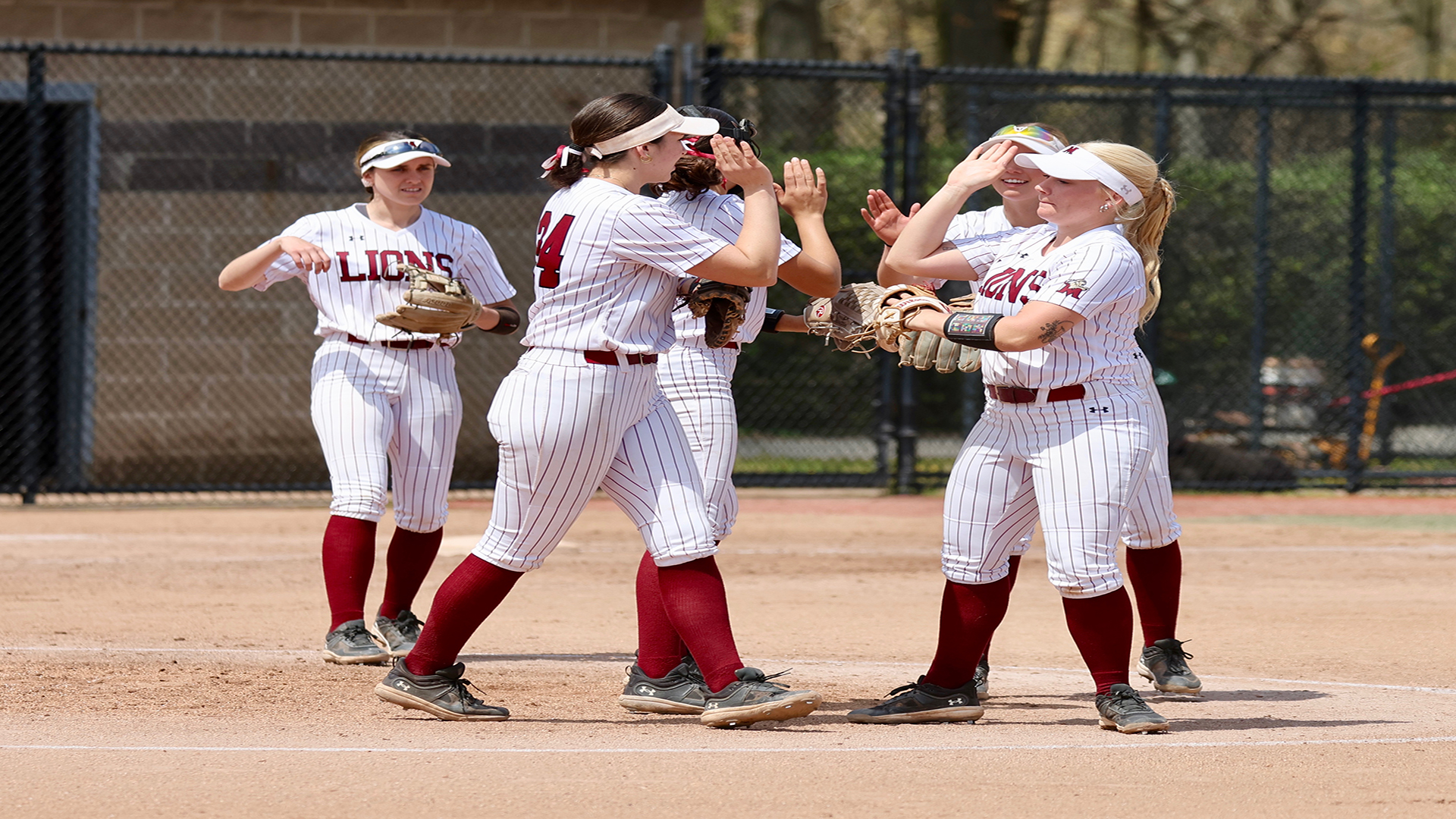 Softball Plates 19 Runs in Doubleheader at D'Youville - Molloy ...
