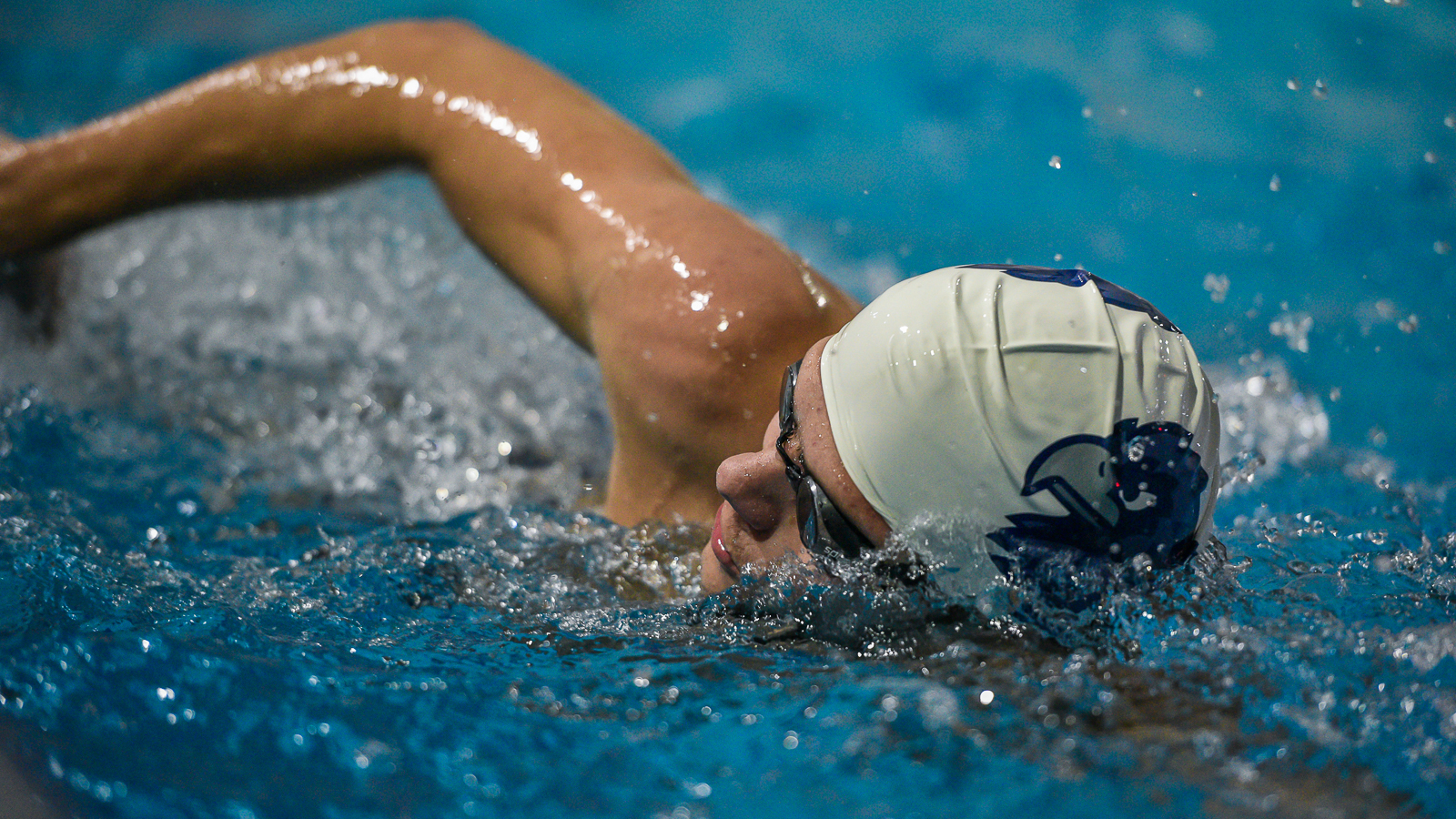 Tyler Lutter - Men's Swimming - Monmouth University Athletics
