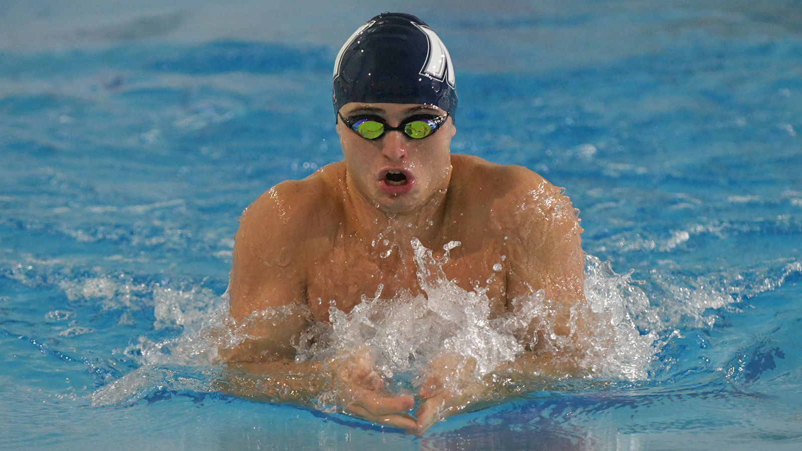 Austin D'Angelo - Men's Swimming - Monmouth University Athletics