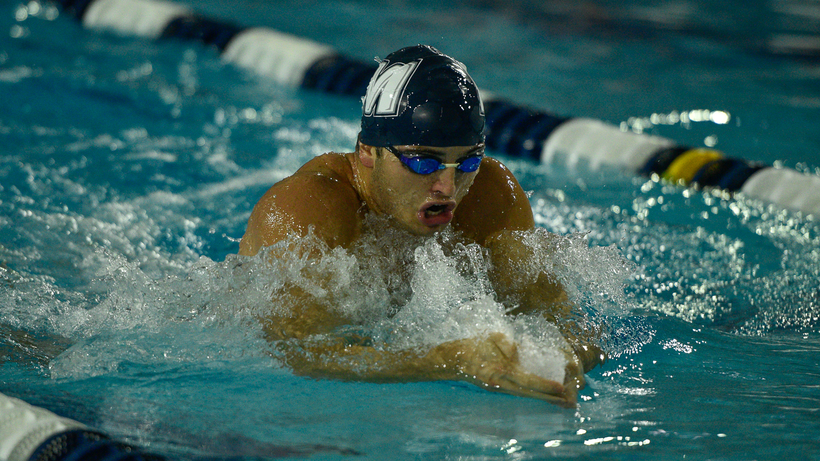 Austin D'Angelo - Men's Swimming - Monmouth University Athletics