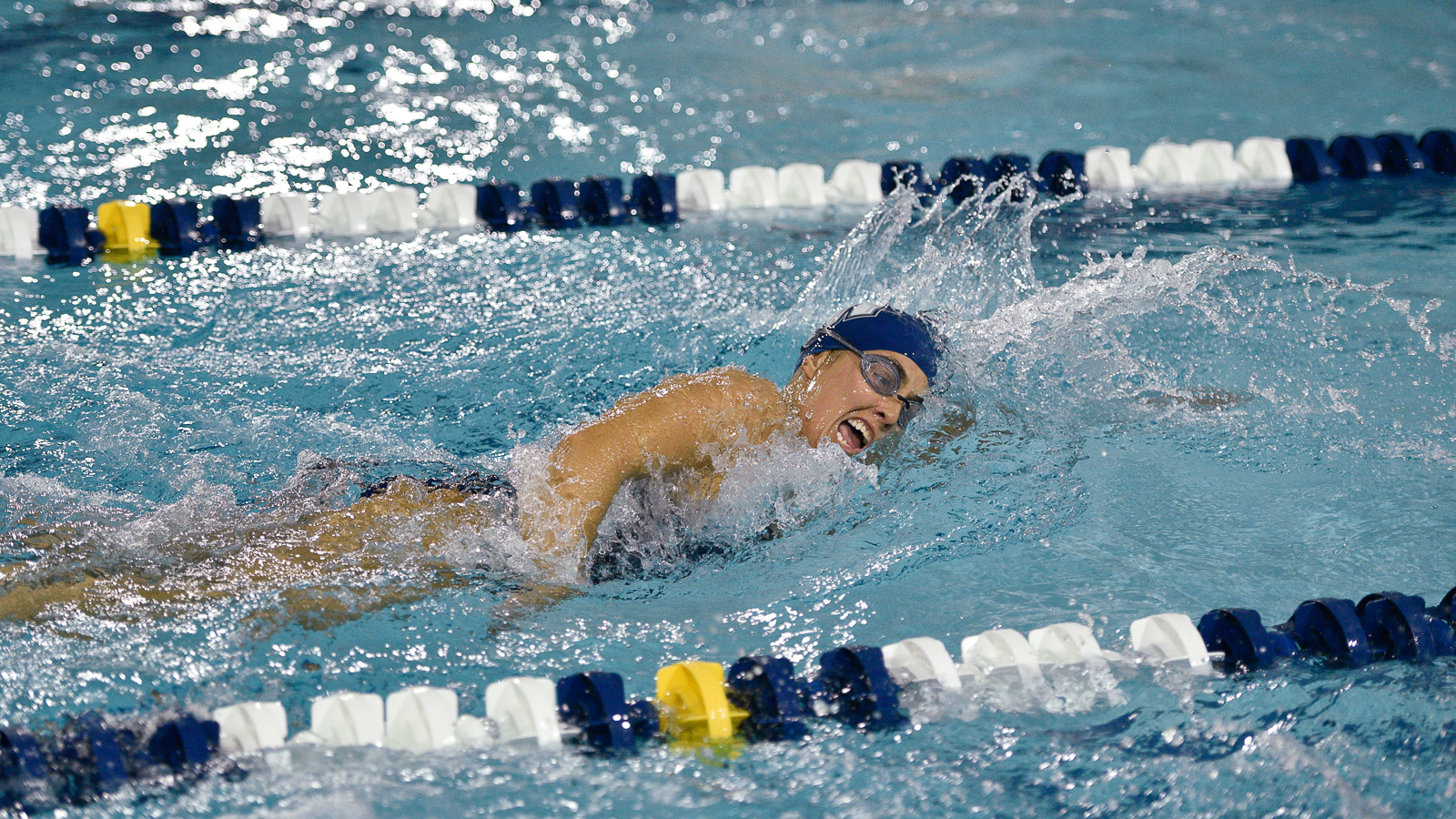 Toniann Feigel - Women's Swimming - Monmouth University Athletics
