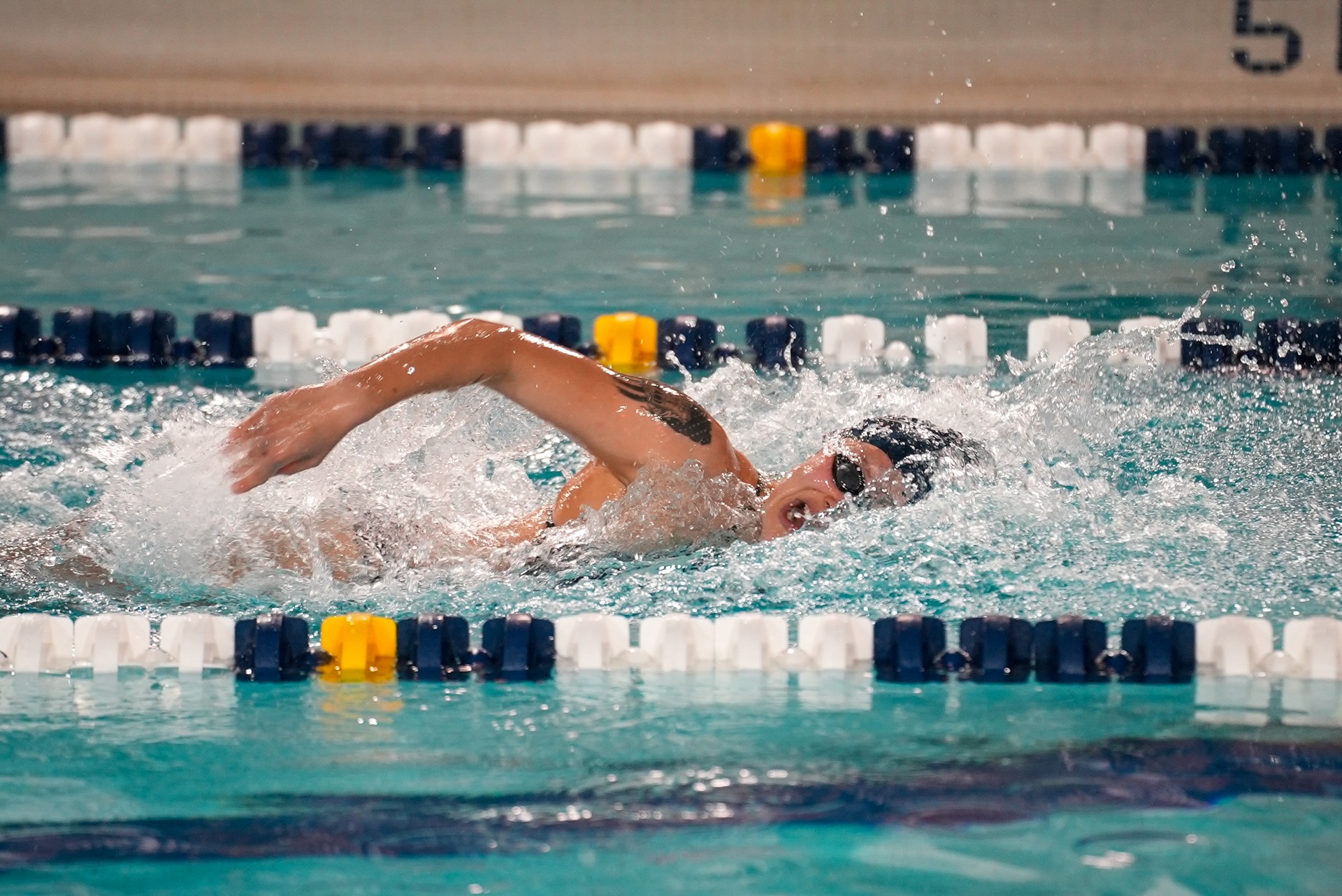 Gracie Preslar - Women's Swimming - Monmouth University Athletics