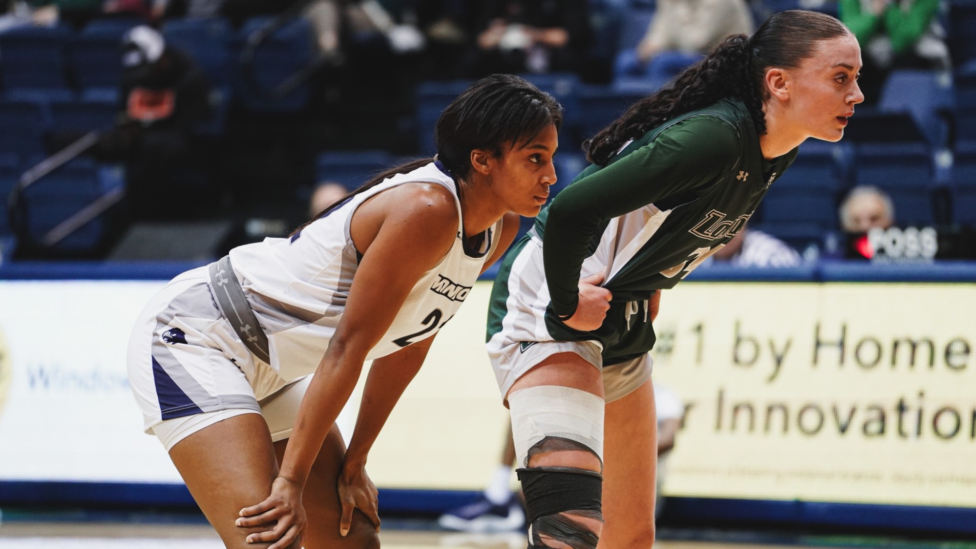 Jaye Haynes - Women's Basketball - Monmouth University Athletics