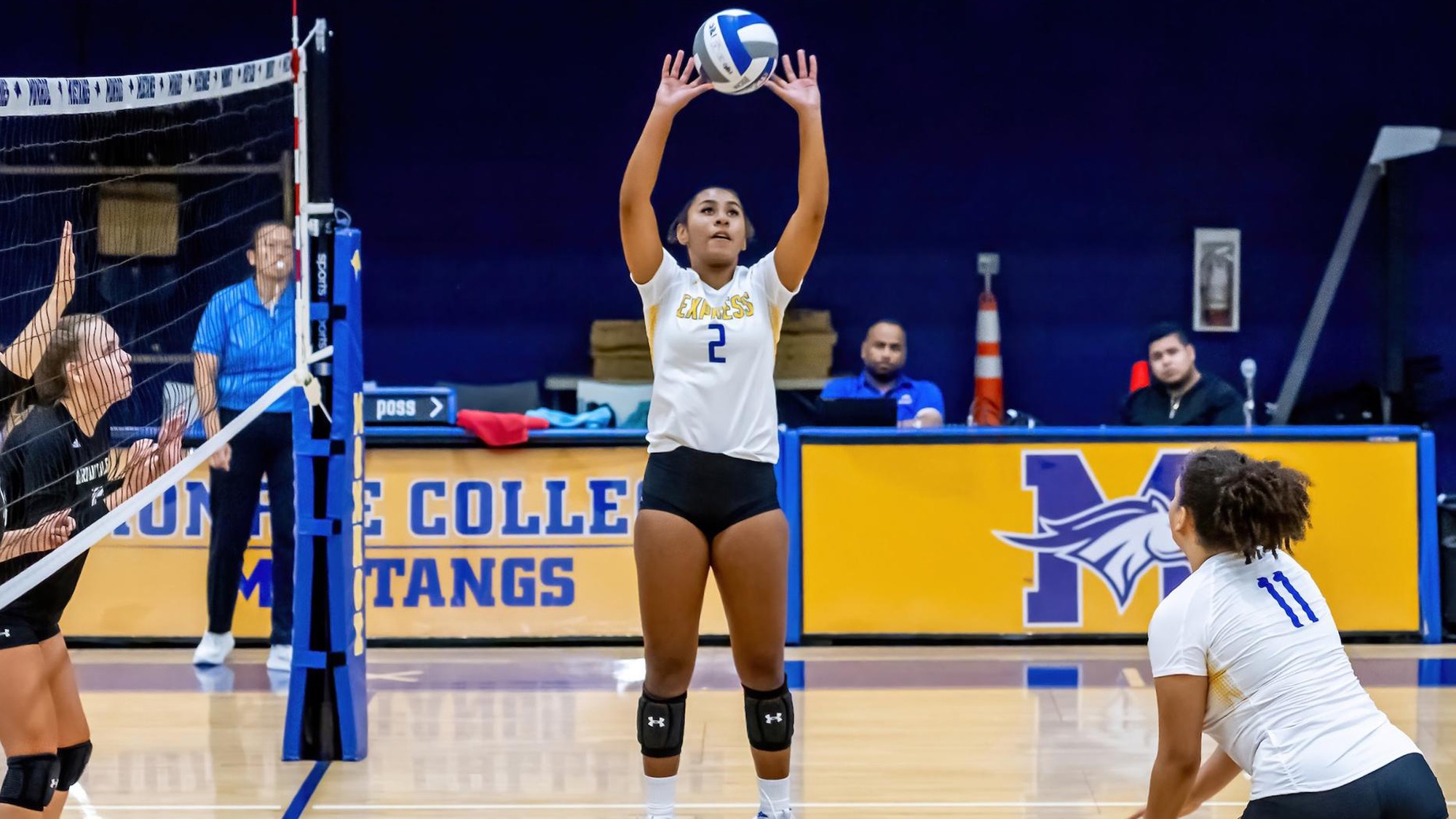 Luisanni Rodriguez - Women's Volleyball - Monroe College-Bronx Athletics