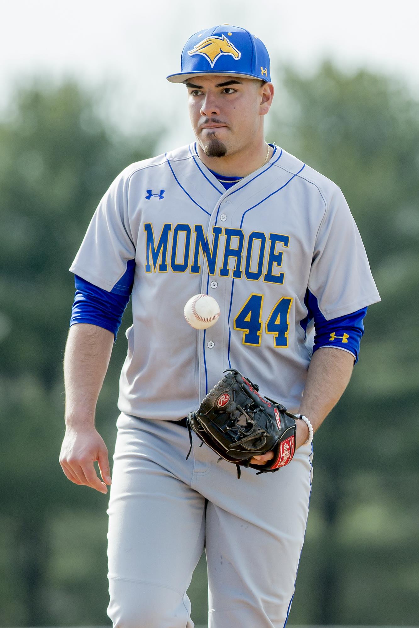 Gabriel Rodriguez - Baseball - Monroe College Athletics