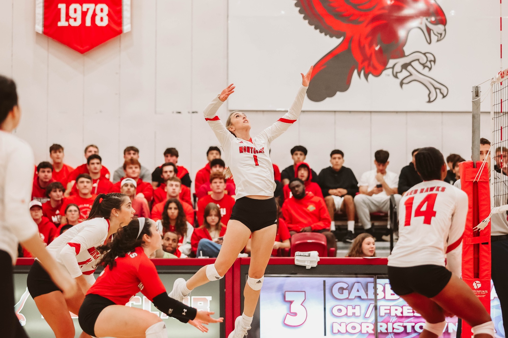 Skye Ramsey - Women's Volleyball - Montclair State University Athletics