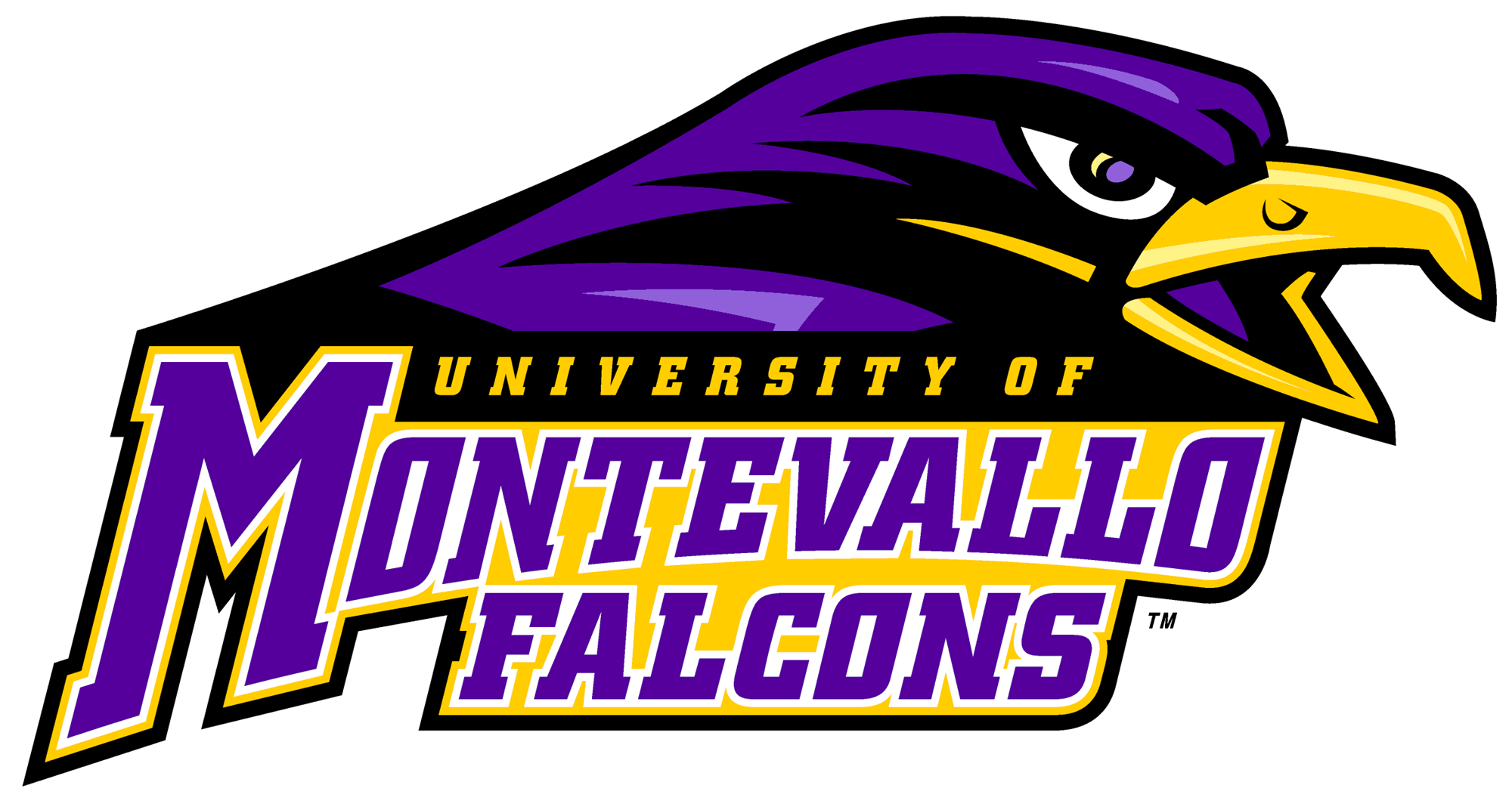Montevallo competitive cheerleading adds four signees - University of ...