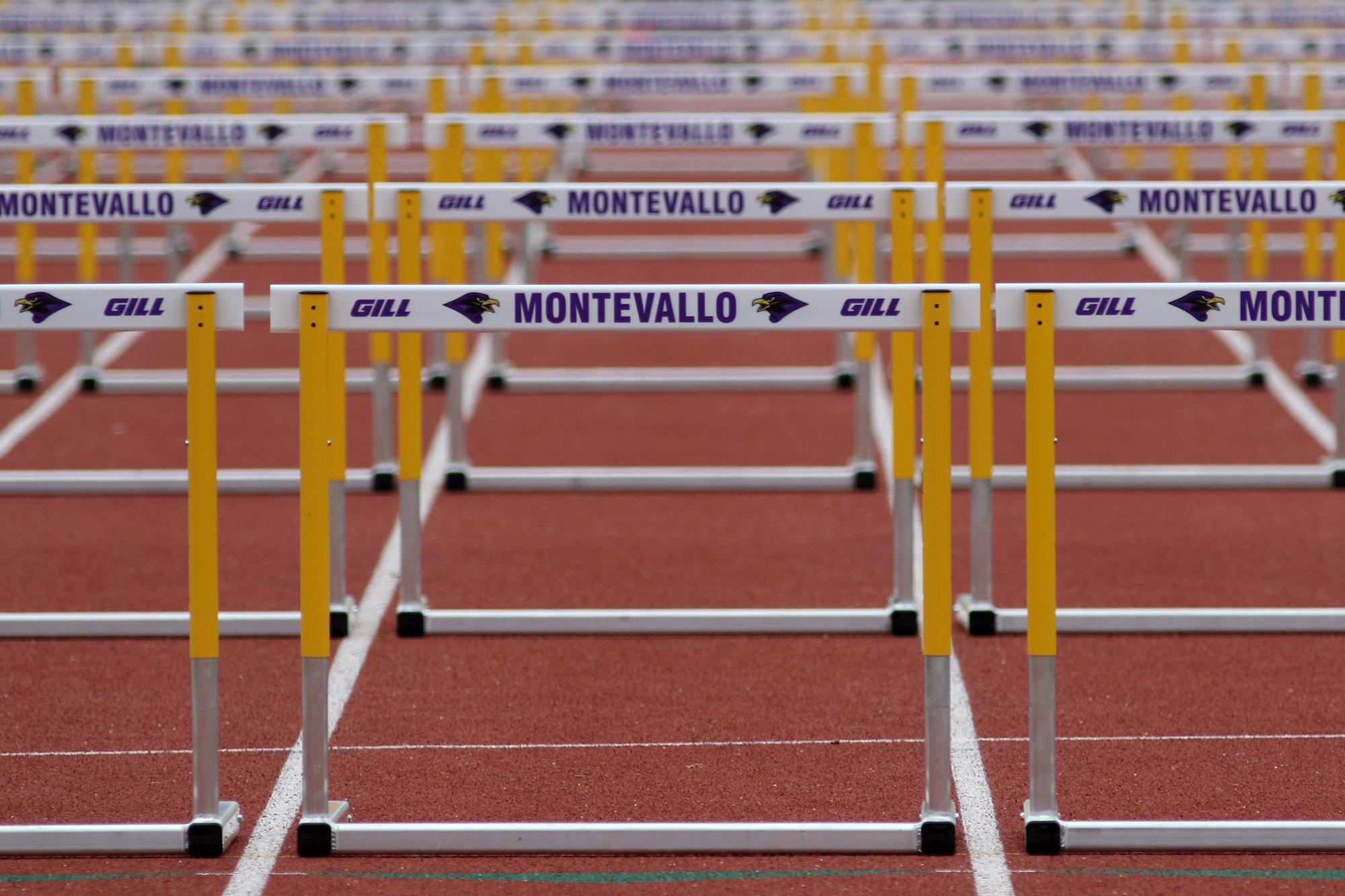 Four Falcons compete in Samford Multi Invitational - University of ...