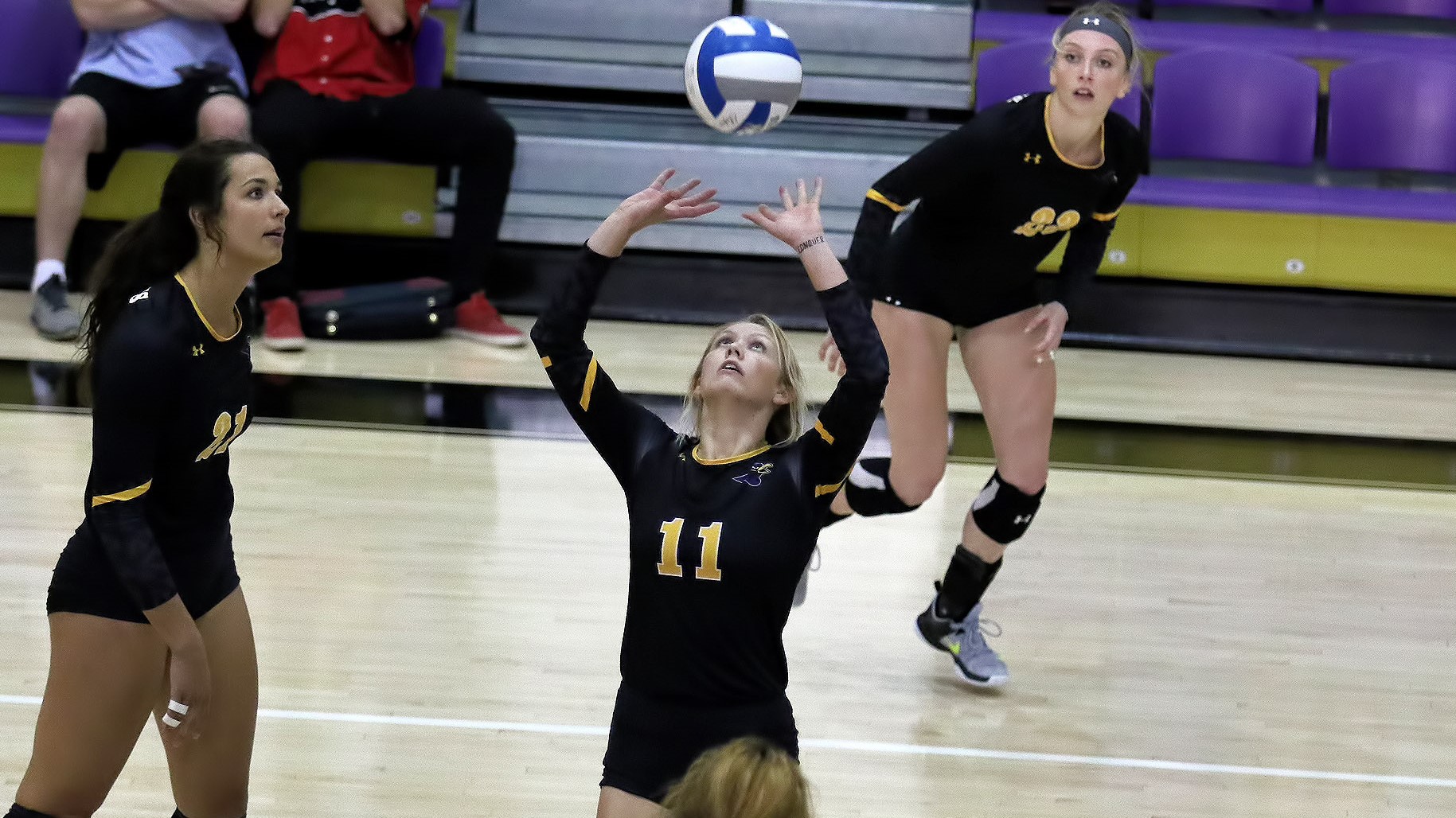 Brie Blume - Women's Volleyball - University of Montevallo Athletics Brie Blume - Women's Volleyball - University of Montevallo Athletics