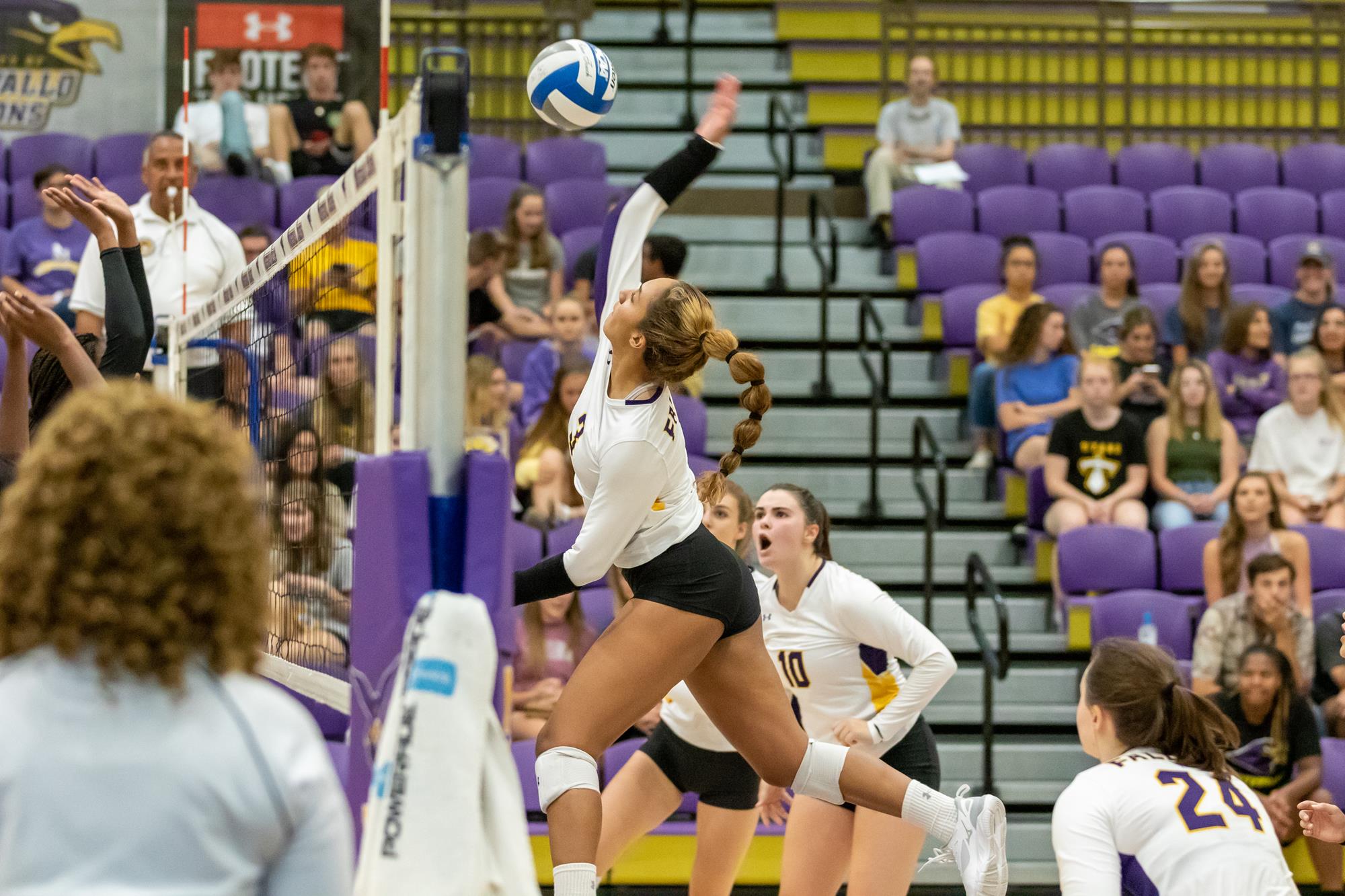 Desiree Rodriguez - Women's Volleyball - University of Montevallo Athletics