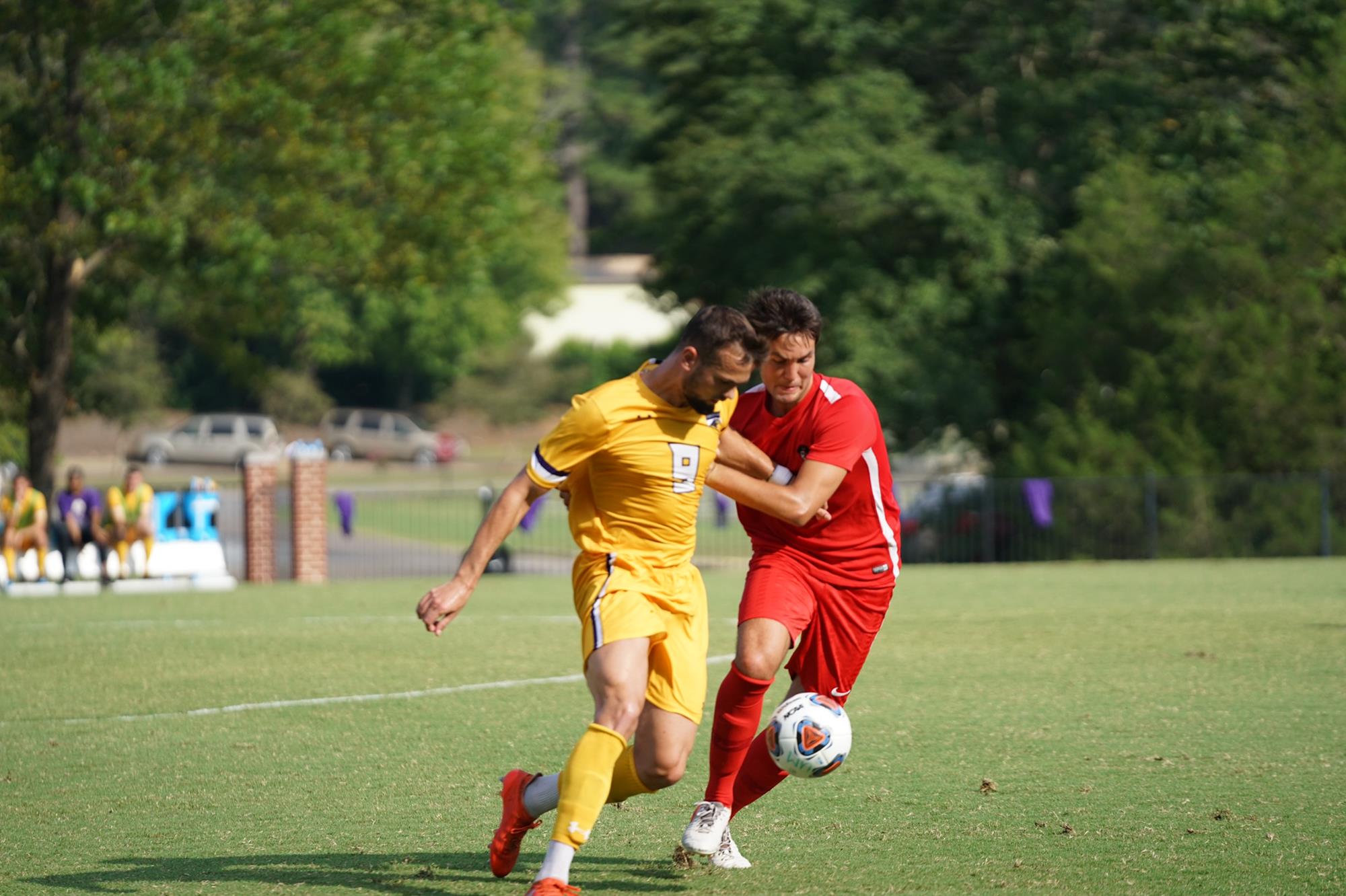 Nemanja Acimovic - Men's Soccer - University of Montevallo Athletics