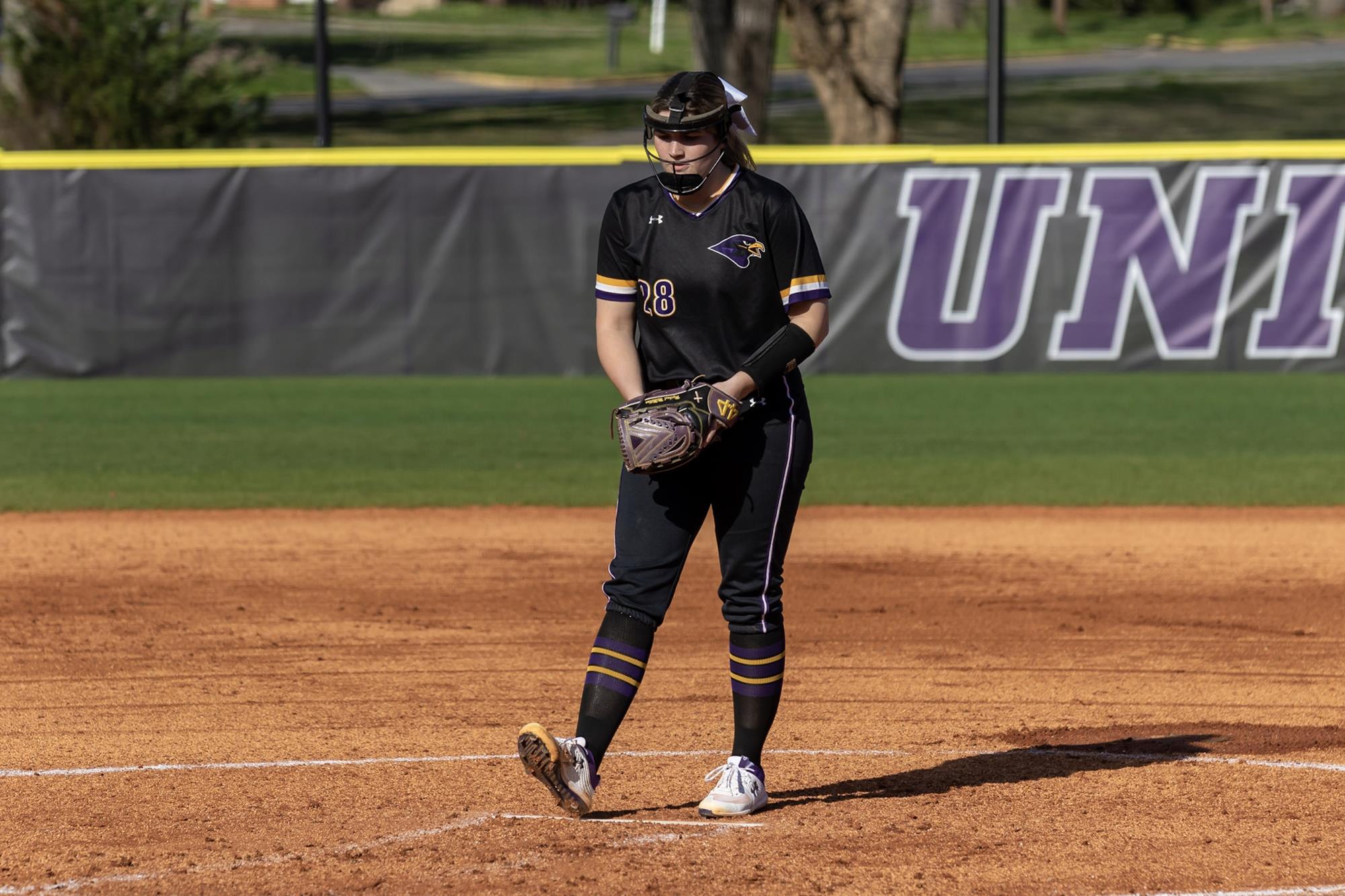 Falcons Fly Past Bulldogs For Series Win - University of Montevallo ...