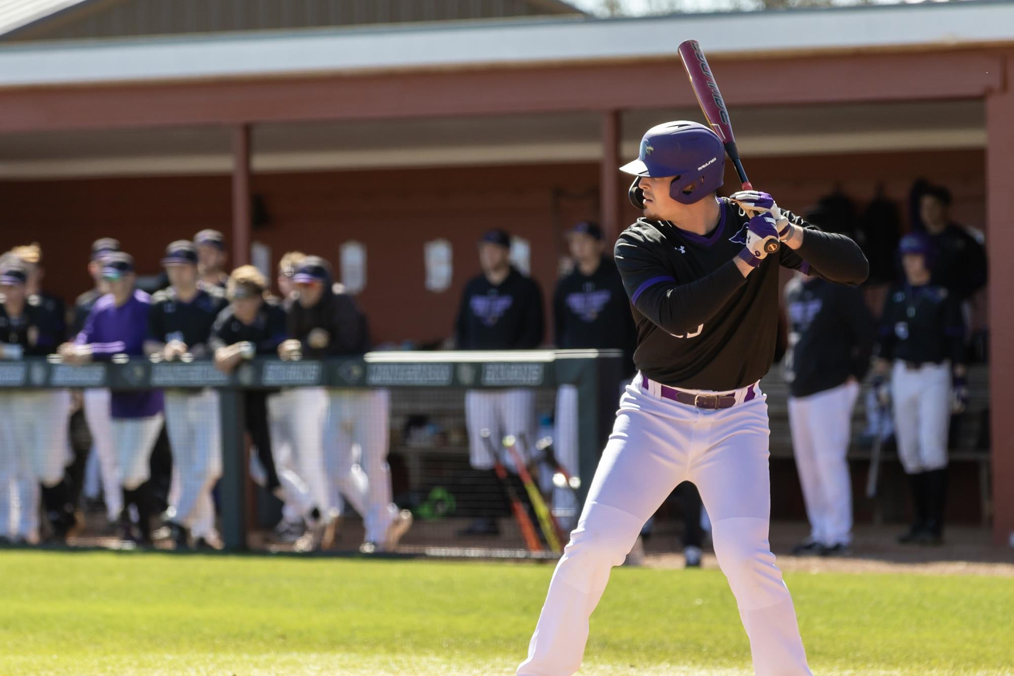Davis Lott - Baseball - University of Montevallo Athletics