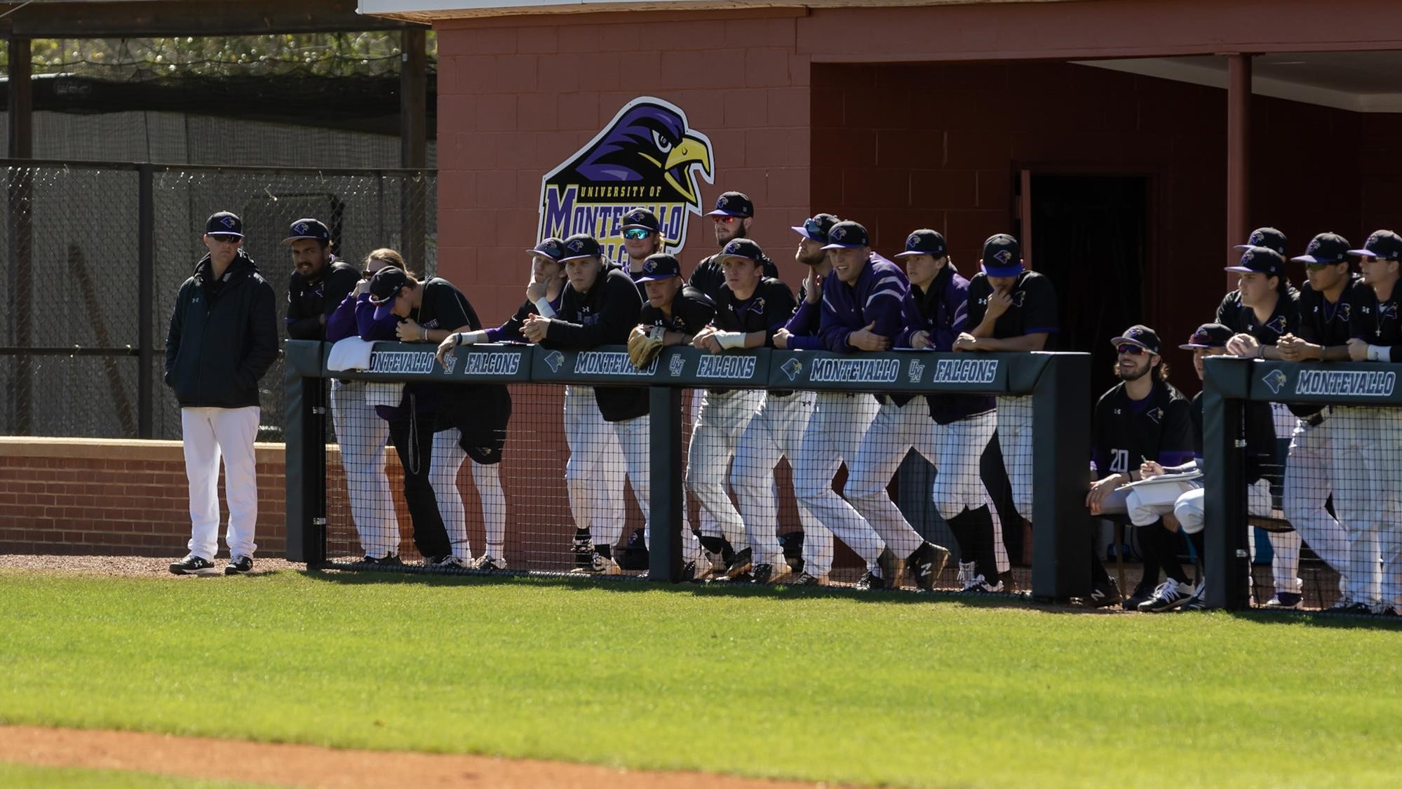 Falcons Drop Doubleheader And Series To AUM - University of Montevallo ...