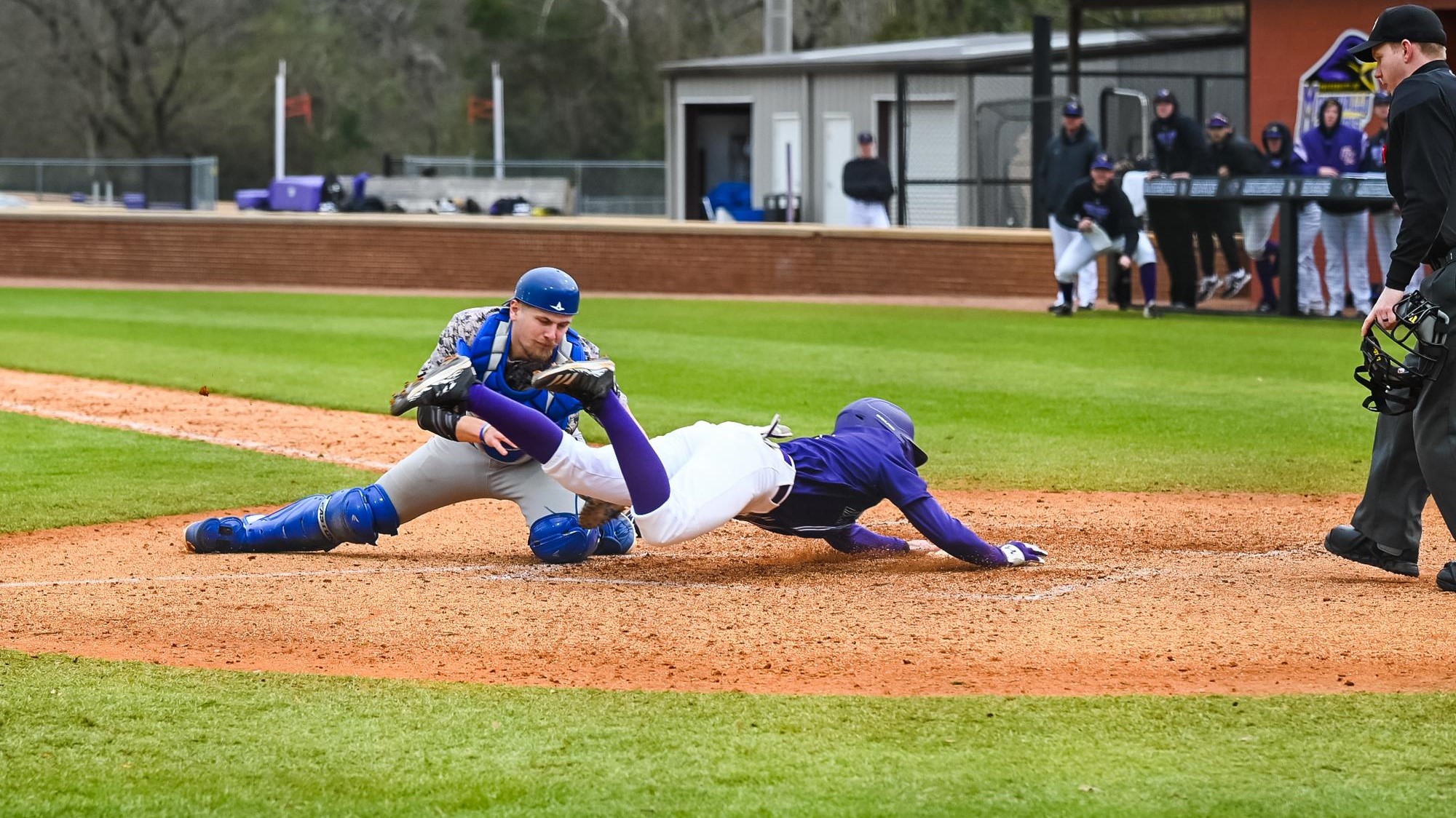 Jake Morris - Baseball - University of Montevallo Athletics