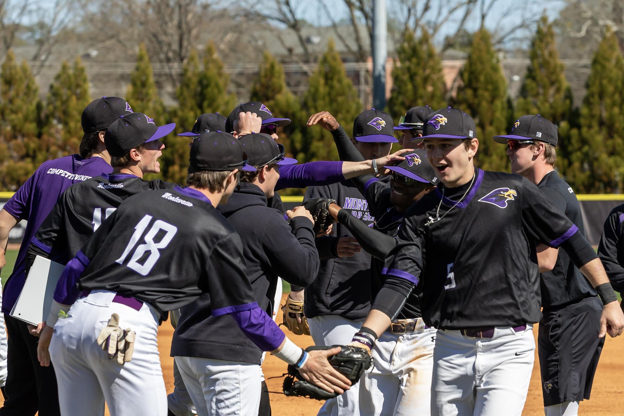 ABCA honors Falcons academic success for the third year in a row ...