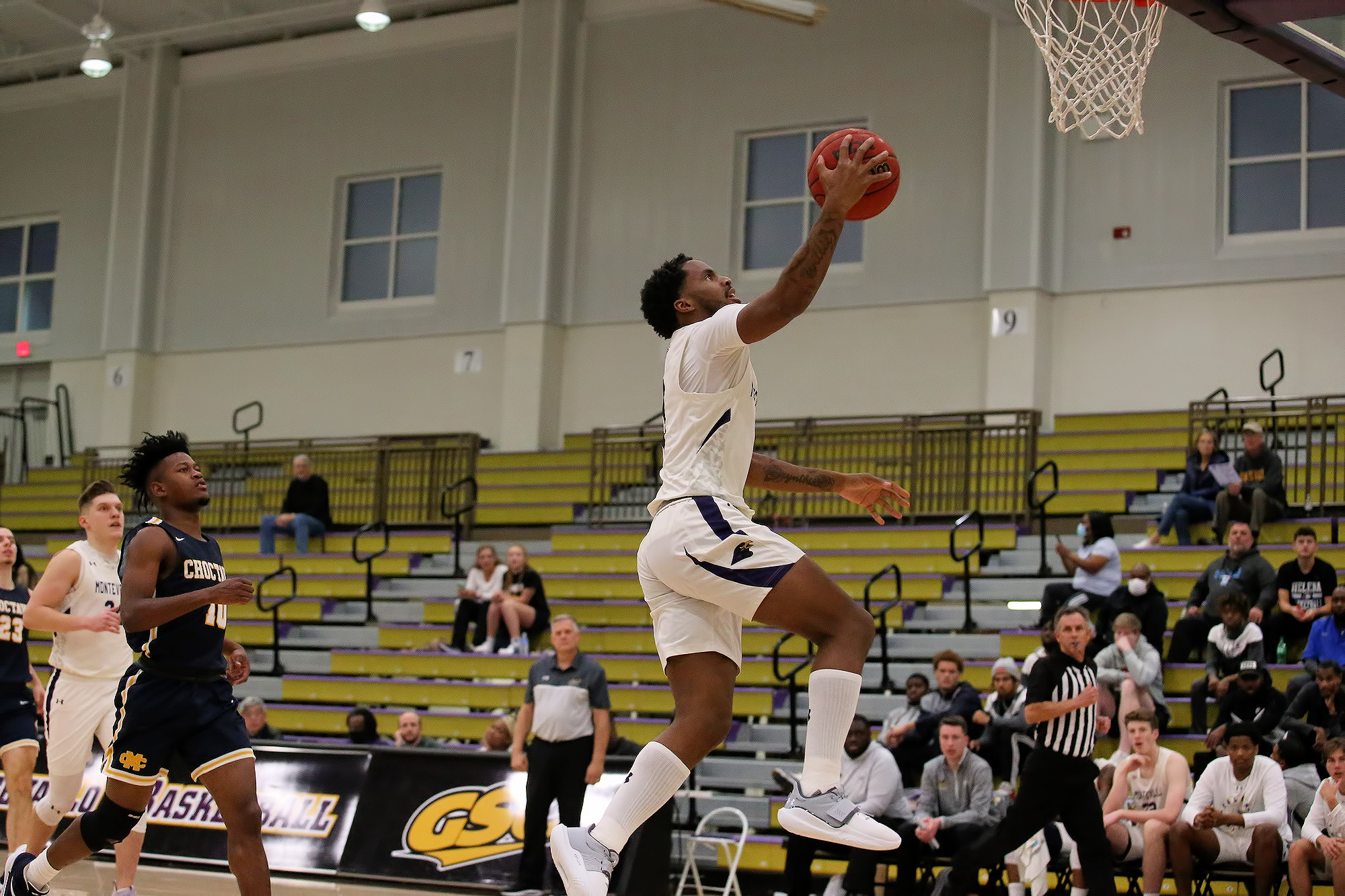 James McNeil - Men's Basketball - University of Montevallo Athletics