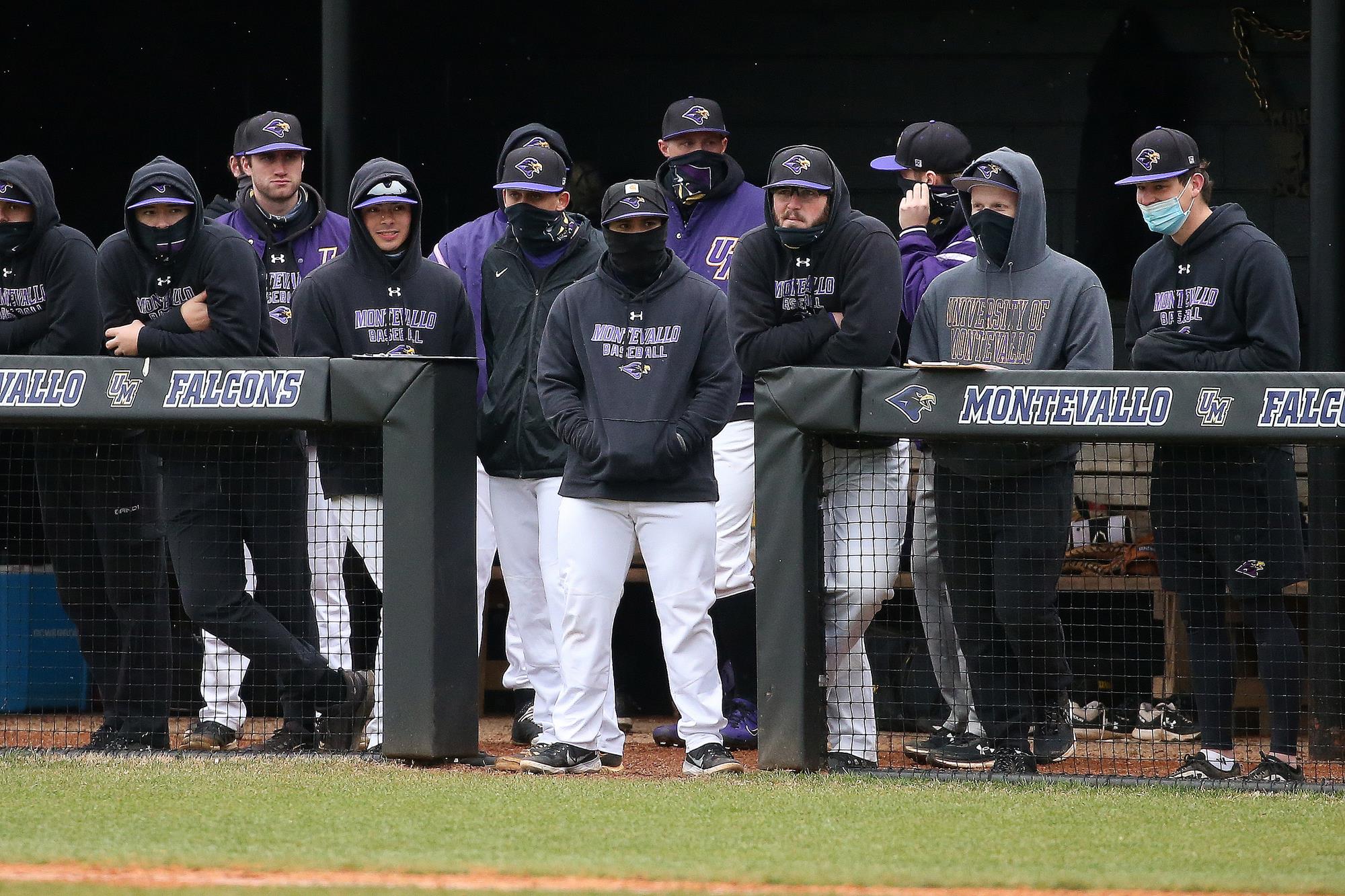 Falcons come up short in GSC opening DH at Delta - University of ...