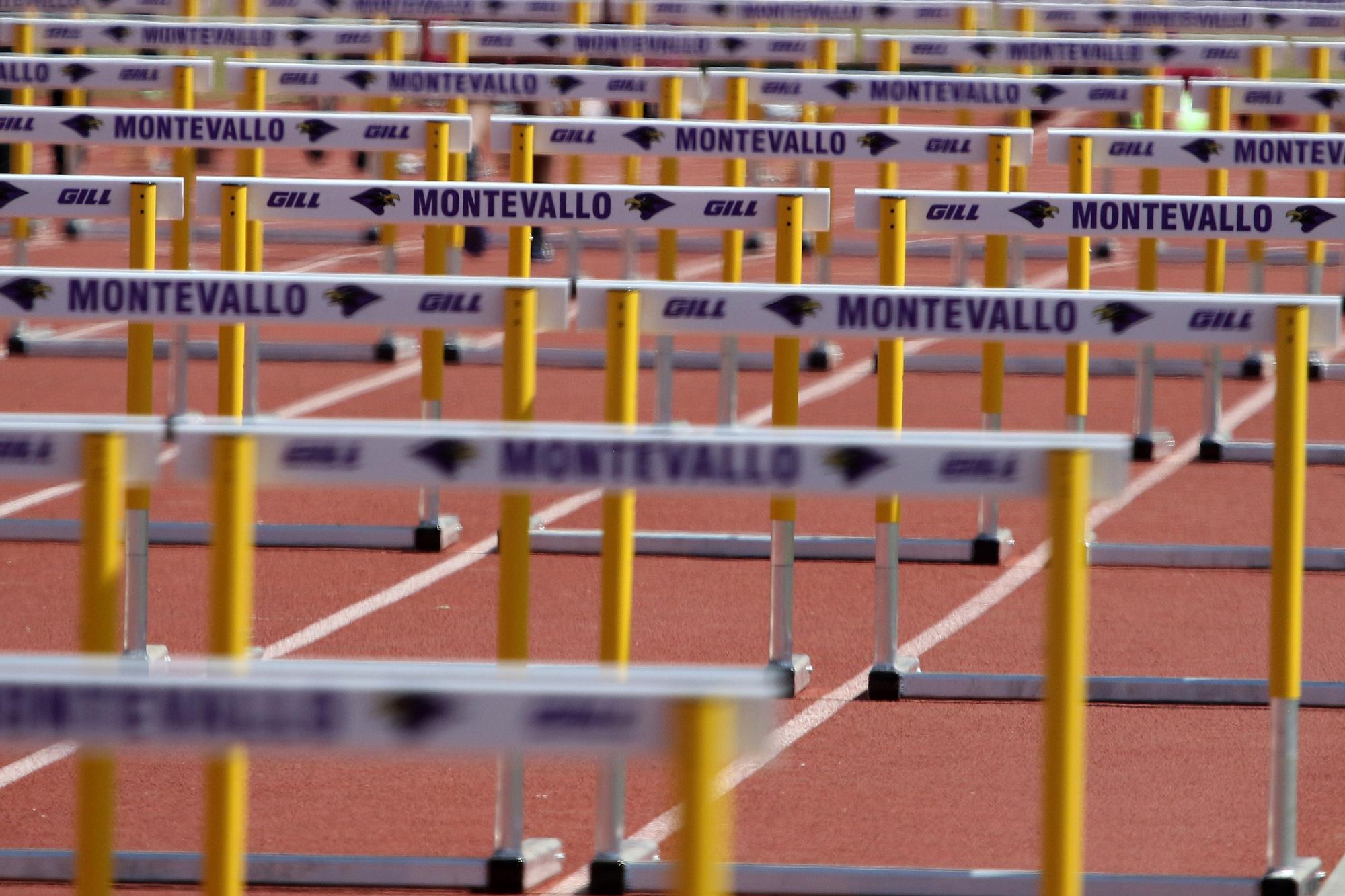 Falcon Classic and Multi updated schedule - University of Montevallo ...