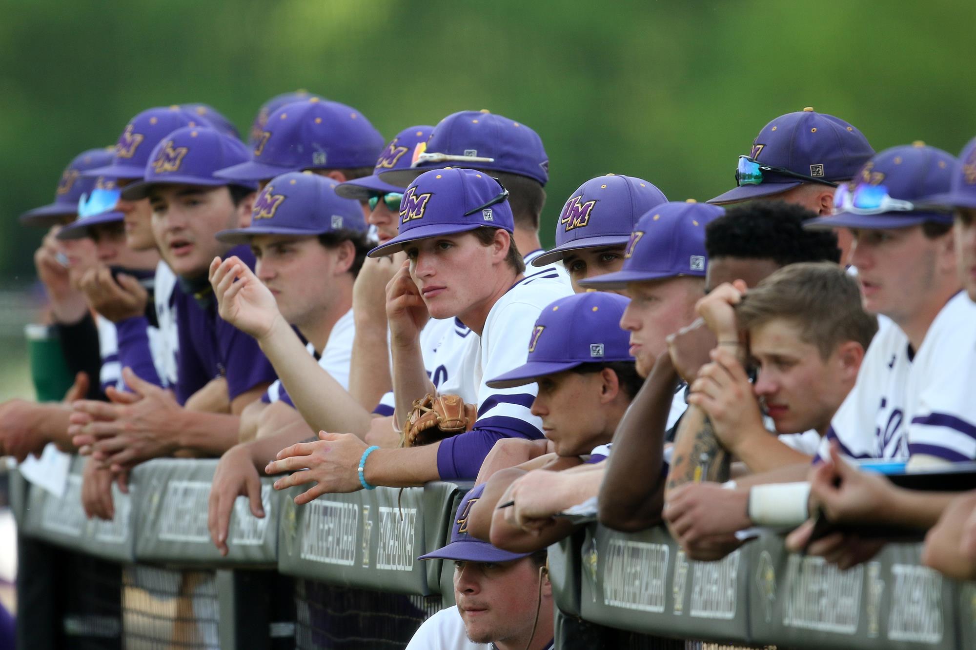 Falcons slip 5-3 at UNG - University of Montevallo Athletics