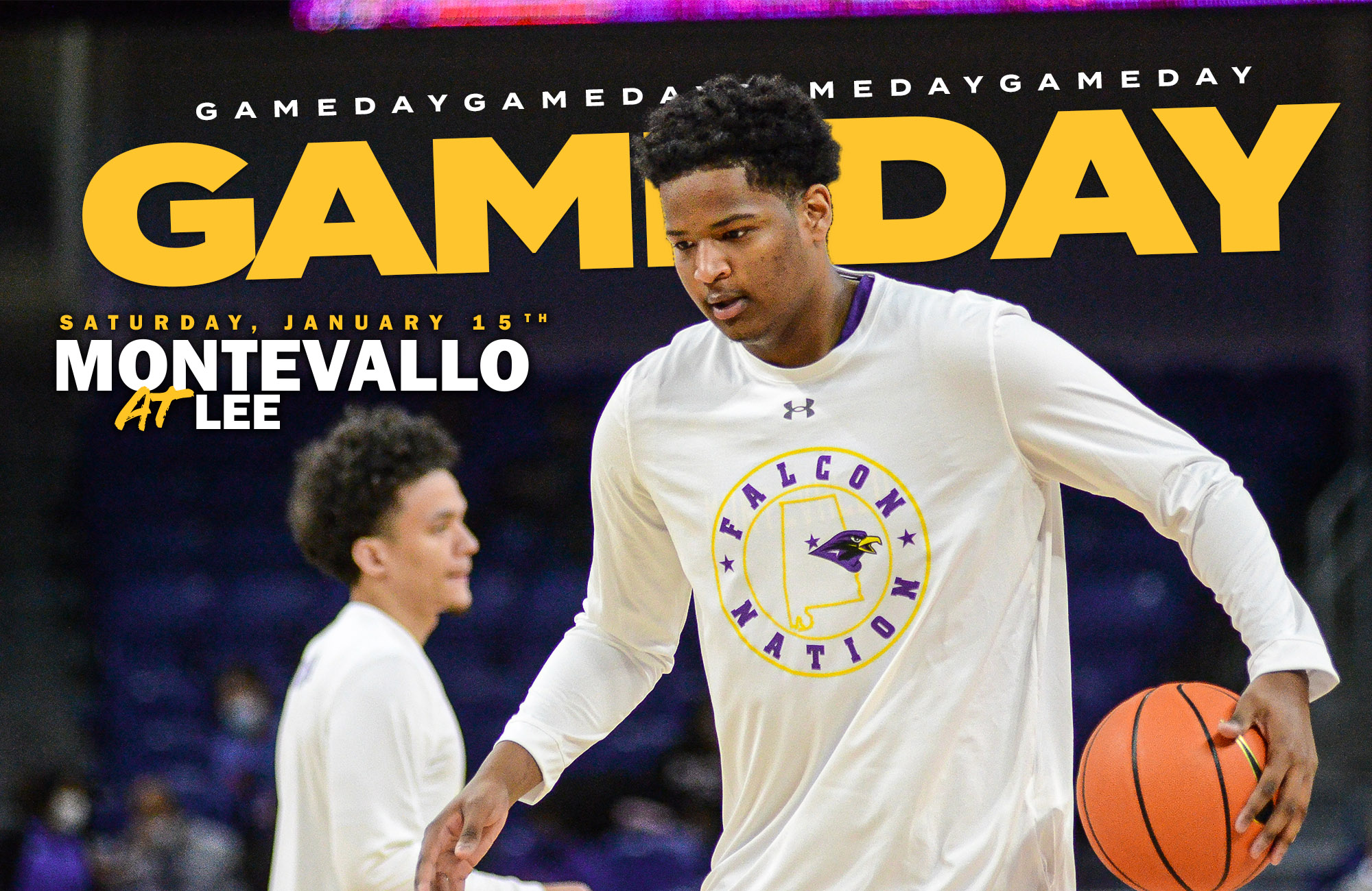 MEN'S BASKETBALL GAME DAY - UM FALCONS at LEE FLAMES - University of ...