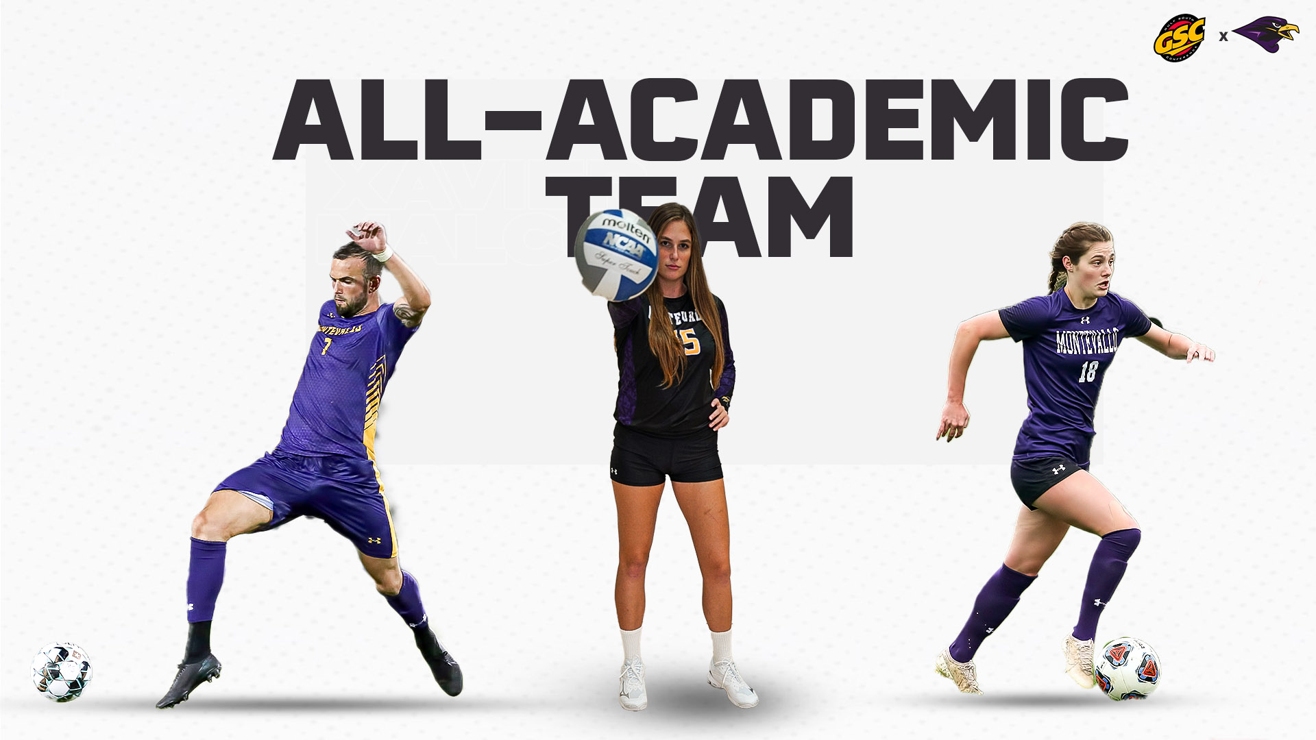 Three Falcons Earn Spots on Academic All-GSC Teams - University of ...