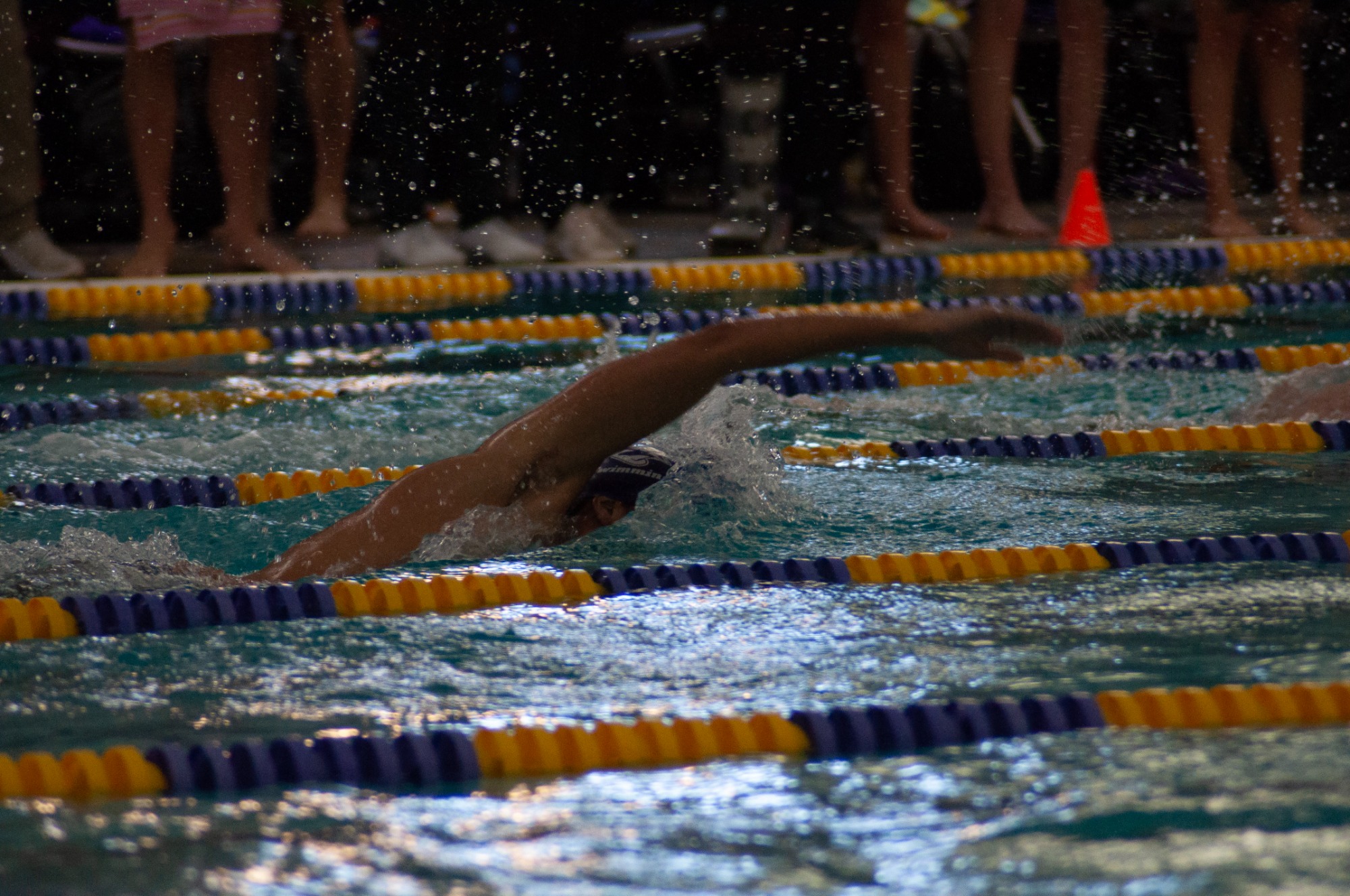 Men's Swim Tops Millsaps in First Meet of 2022 - University of ...