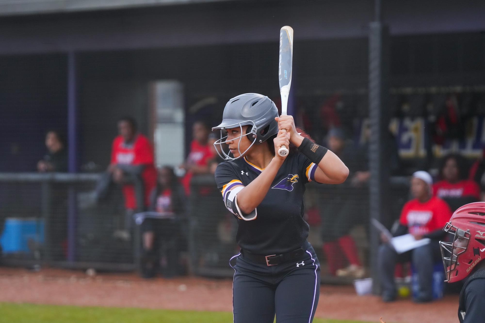 Falcons Softball Finish Weekend with Pair of One Run Wins - University ...