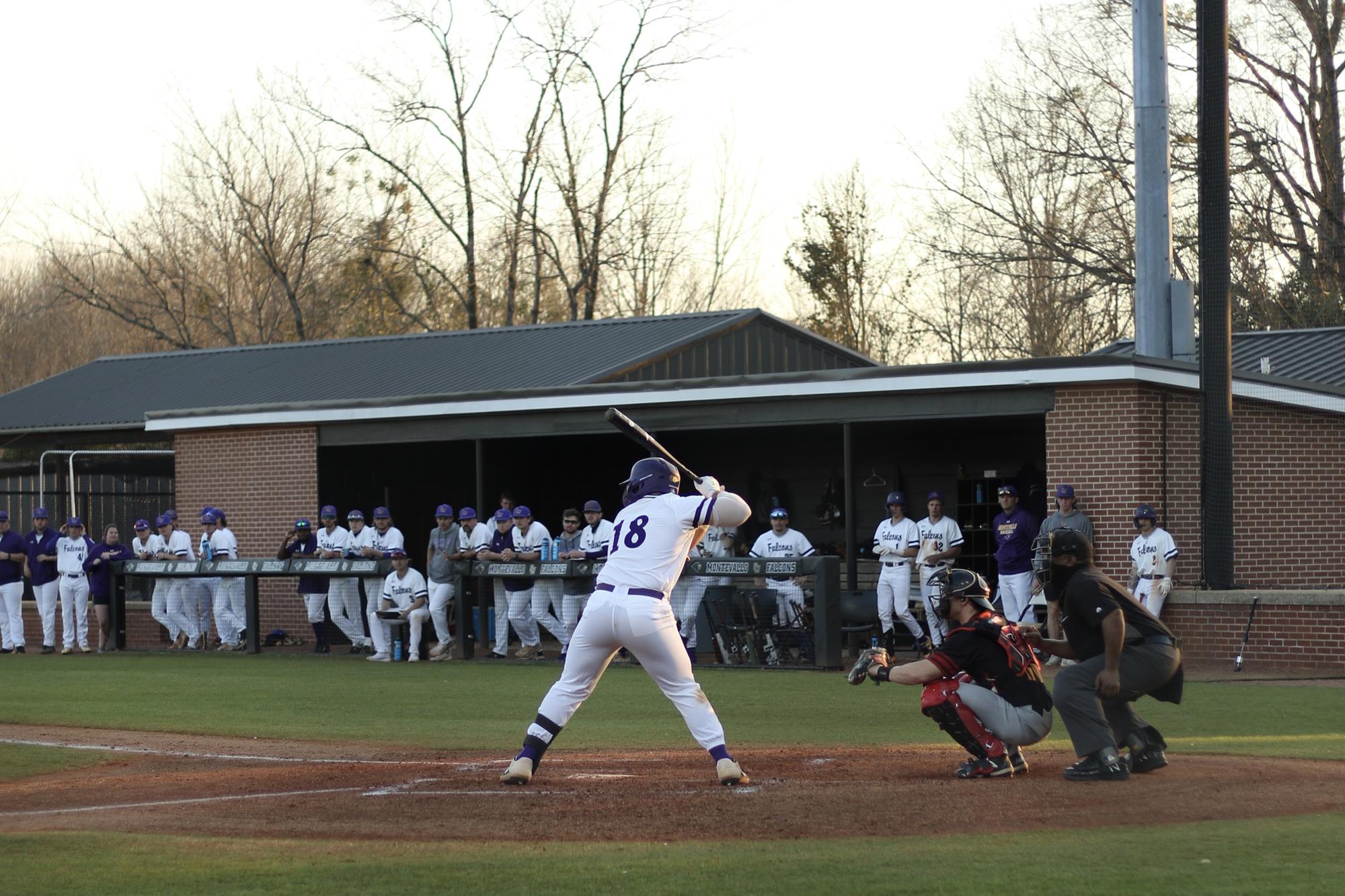 Baseball splits Saturday DH against Lee - University of Montevallo ...