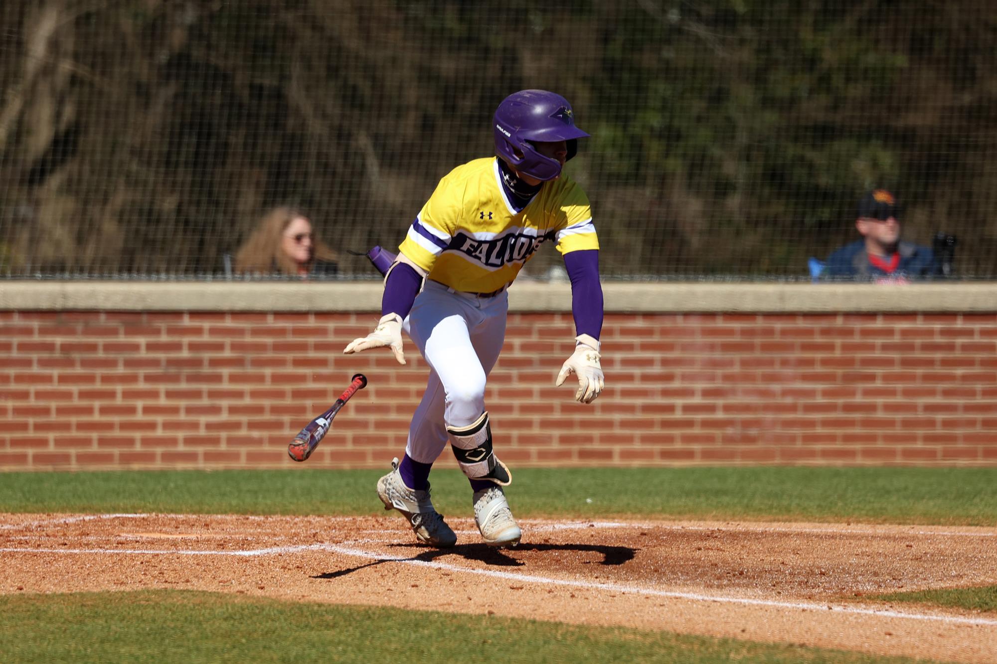 Falcons complete sweep over #20 West Florida with a pair of victories ...