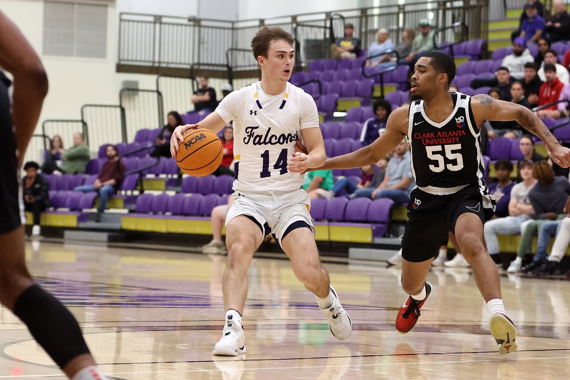 Montevallo Falls in Livingston - University of Montevallo Athletics