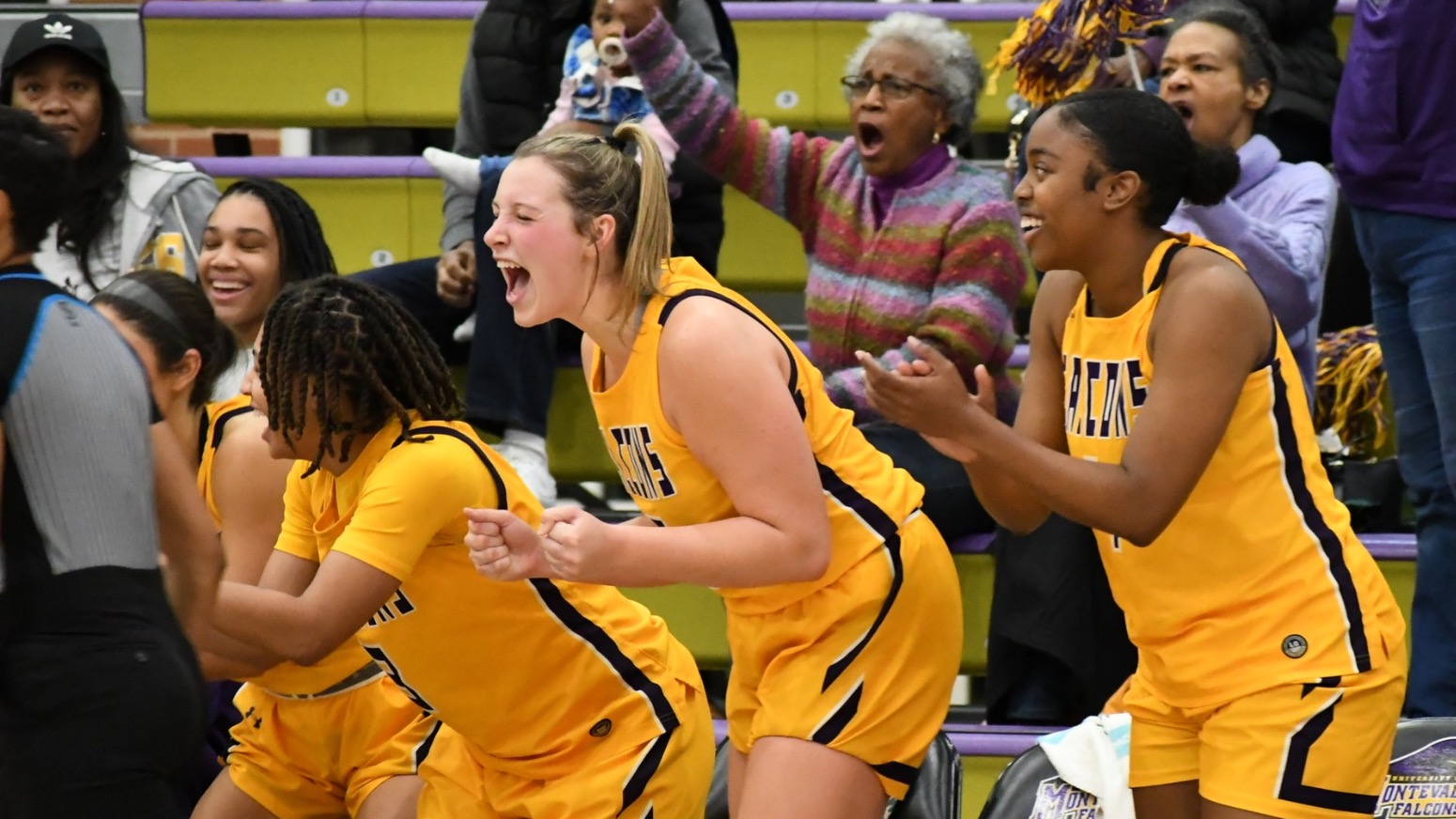 Falcons' Dominant Effort in the Paint Lifts UM to Road Win - University ...