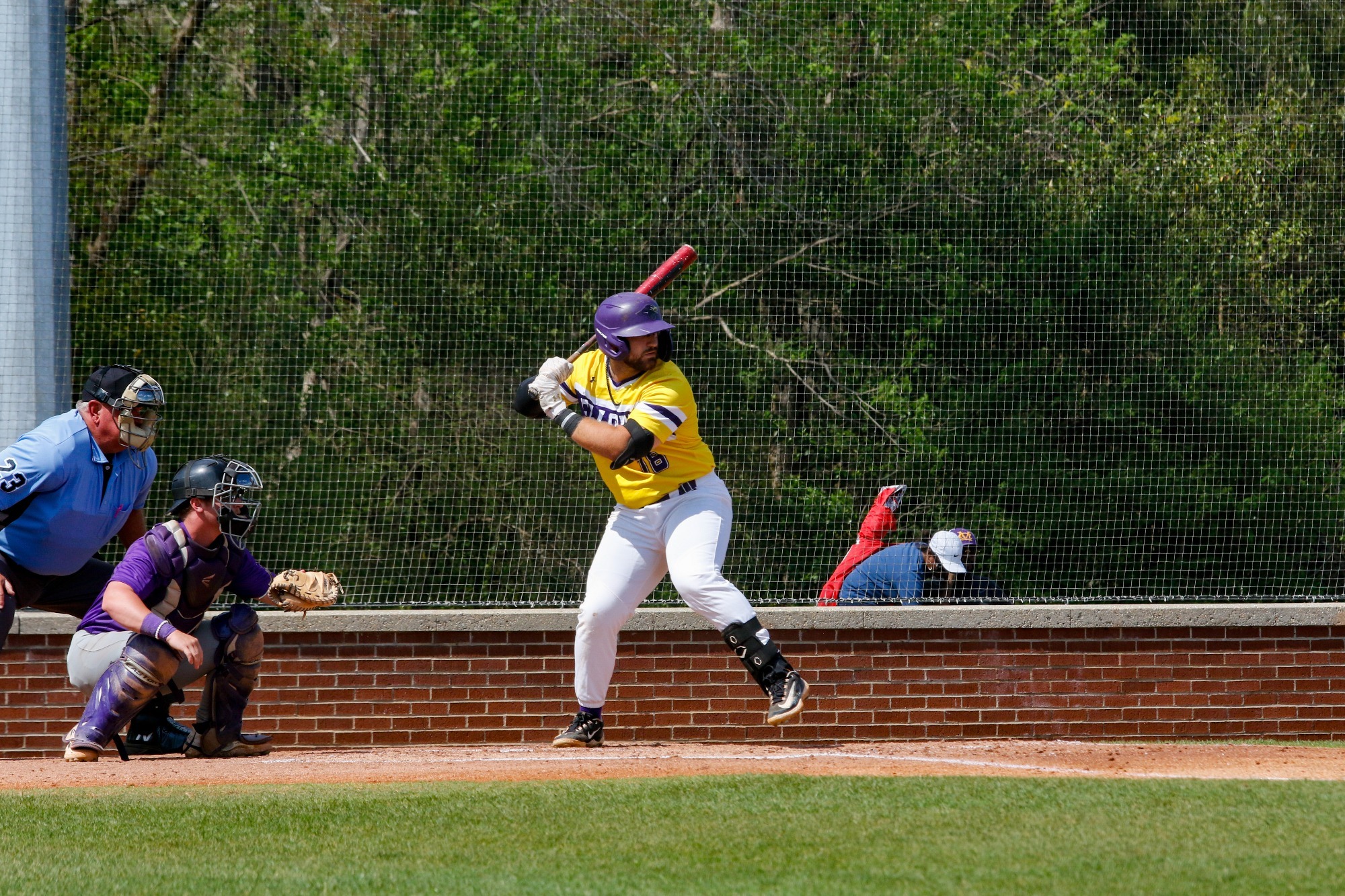 Kuchinski Homer Completes Comeback Bid, Lifts UM Over MC, 9-8 ...