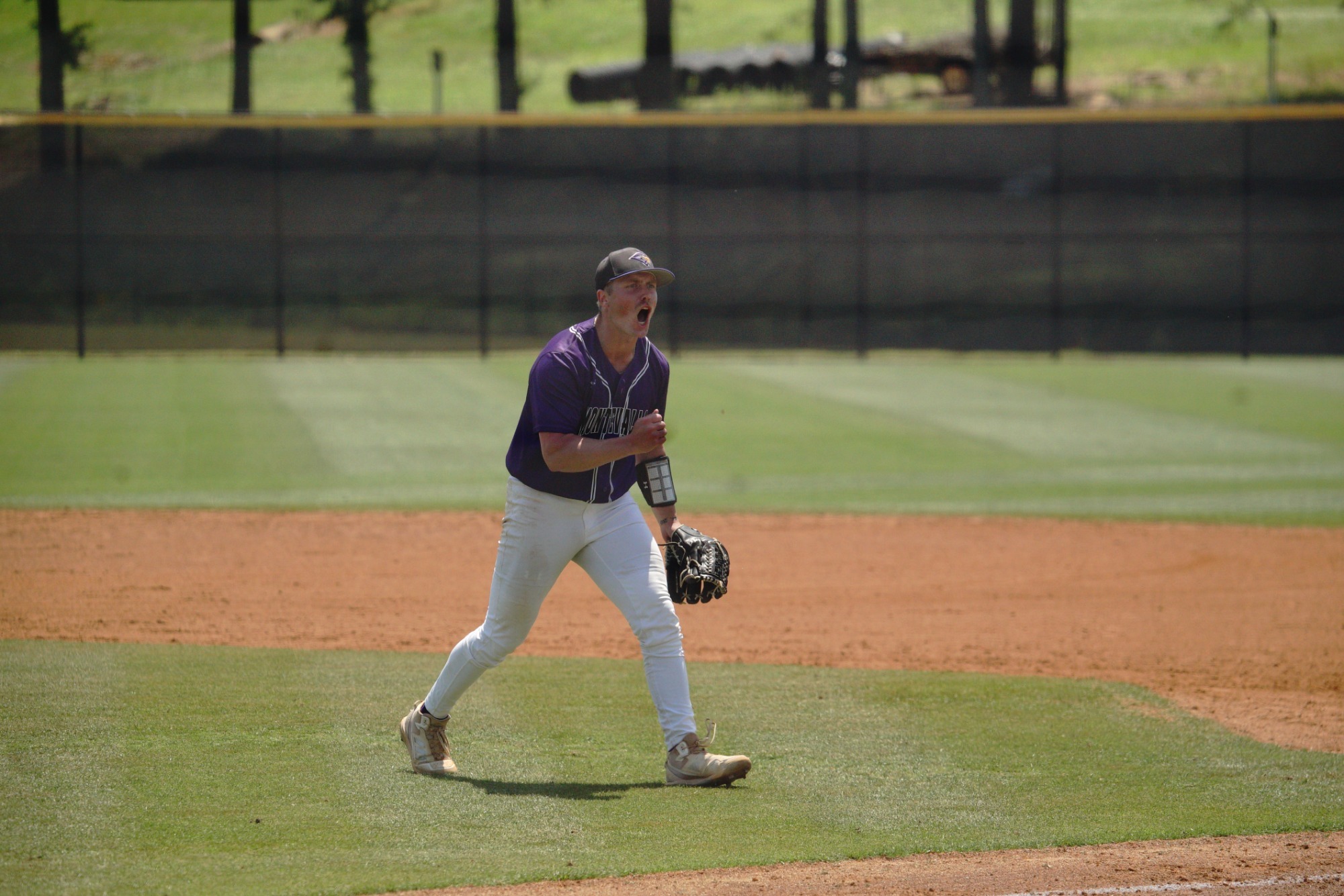 Montevallo Advances in Gulf South Tournament with 8-2 win over UAH ...