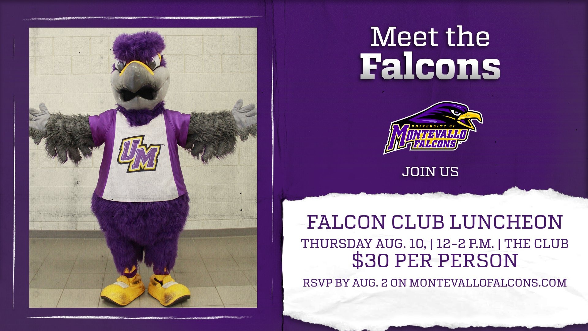 Falcon Club to Host "Meet the Falcons" Luncheon on Aug. 10 - University ...