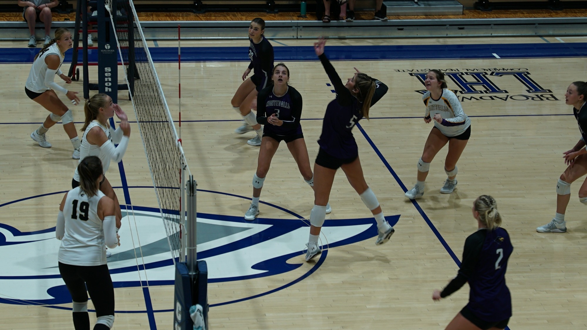 Falcons Open Up GSC Play Against Lee - University of Montevallo Athletics