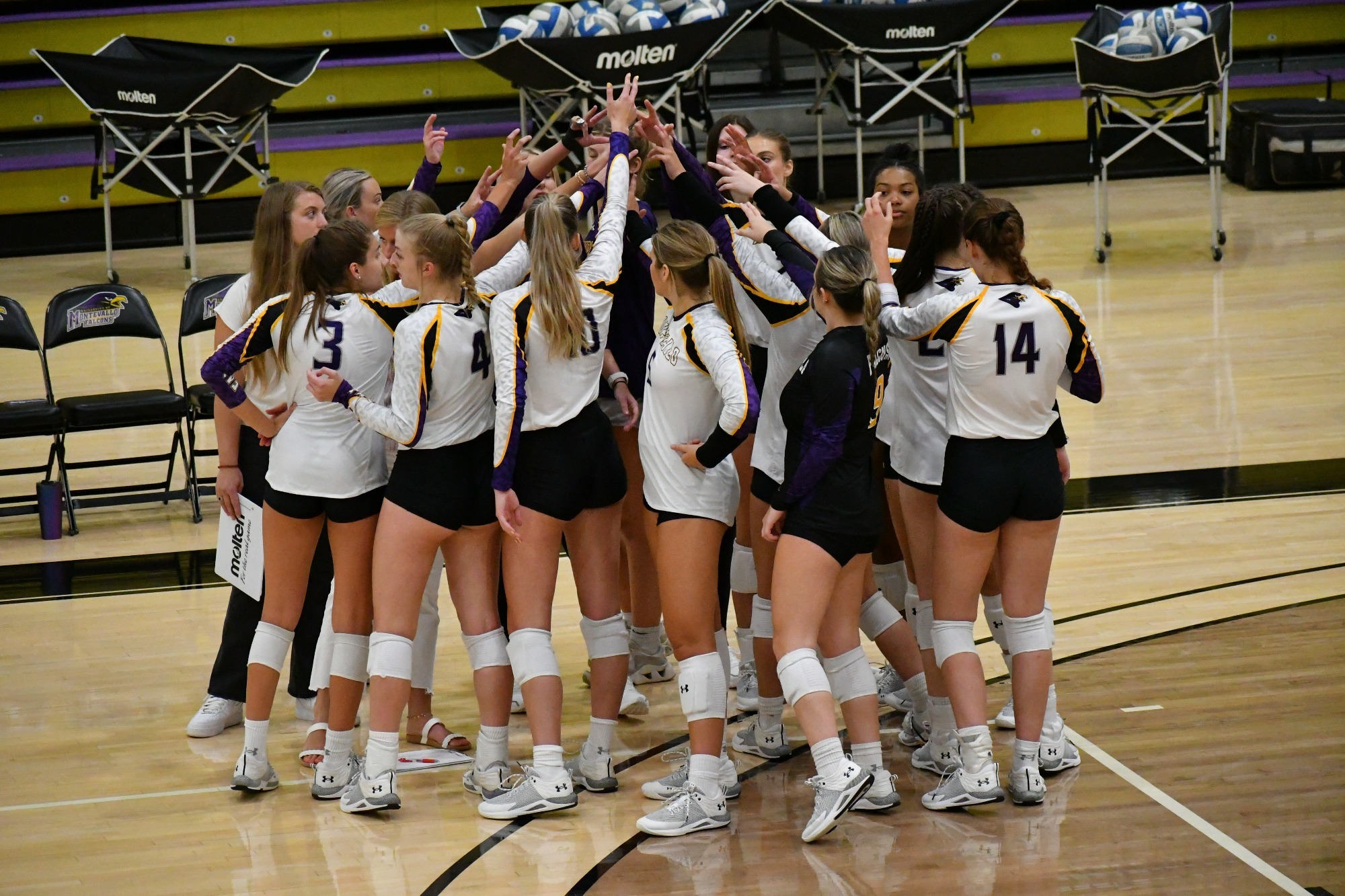 Falcons Fall to Barry in the Final Set of Match - University of ...