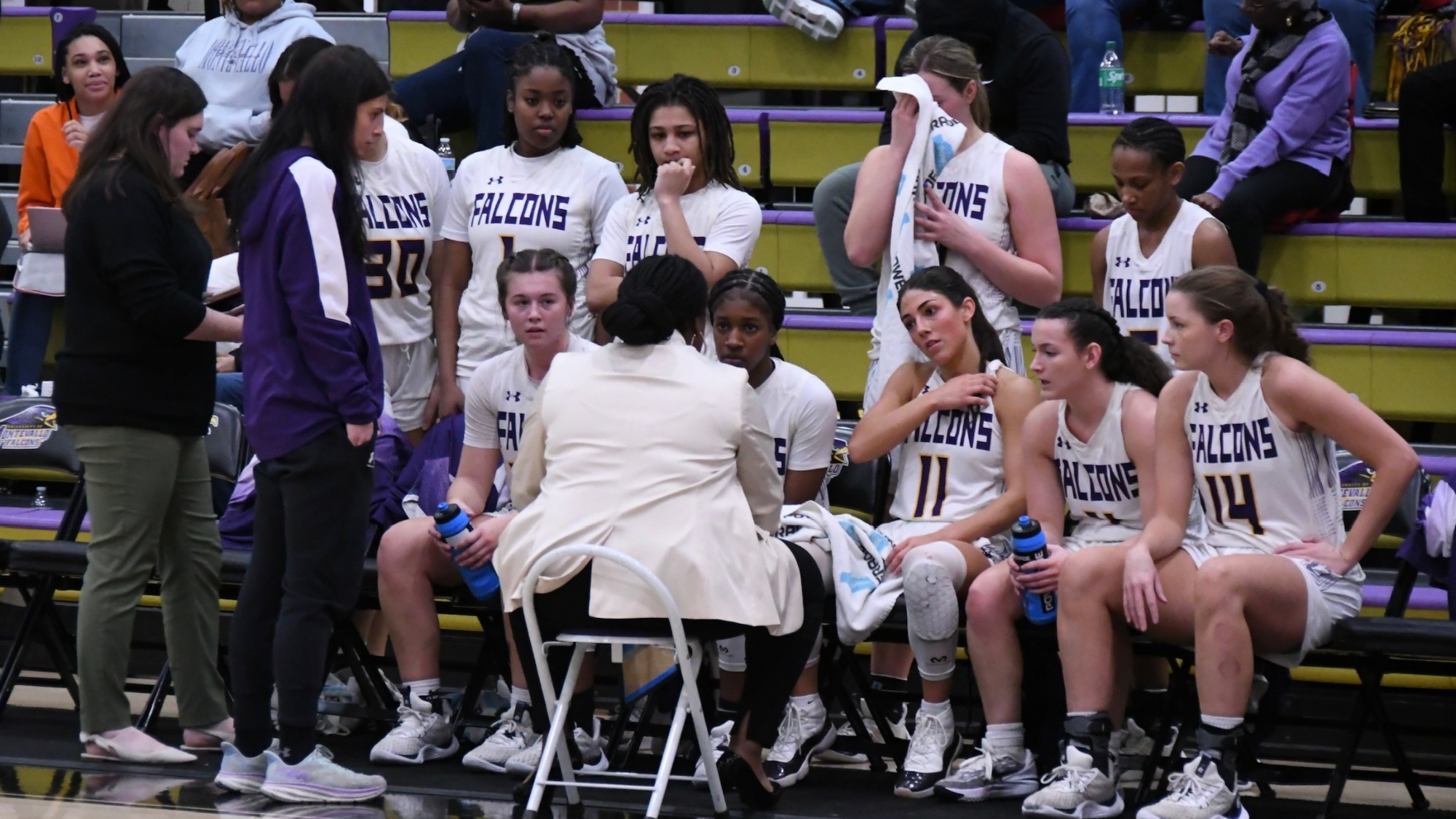 Falcons Fall On the Road For First Time This Season - University of ...