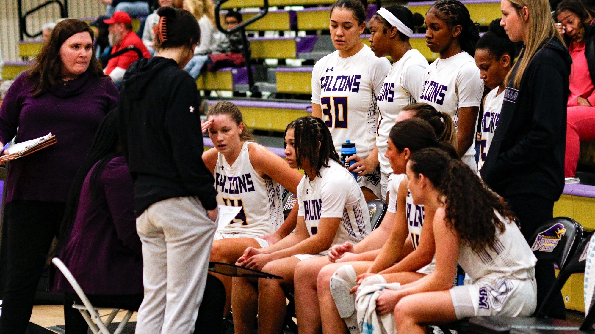 Montevallo Drops Matchup to Delta State - University of Montevallo ...