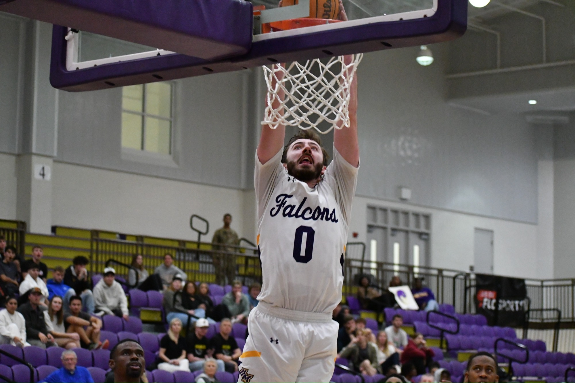 Falcons Return Home for Pivotal Two-Game Strech - University of ...